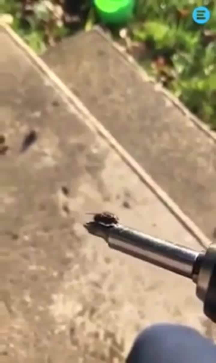 Hang in there, buddy | Scrolller