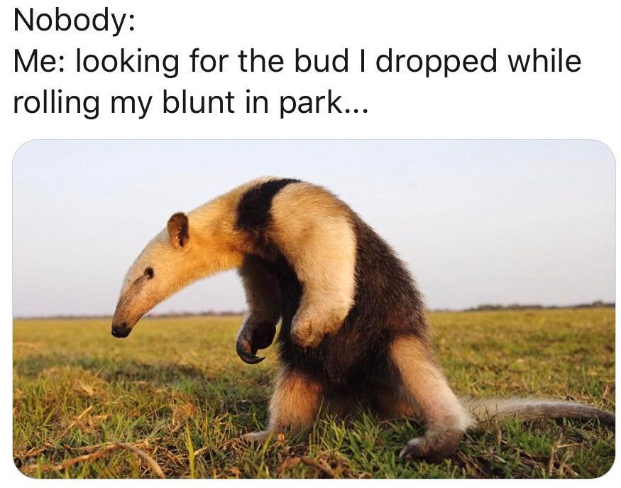 Happens everytime... | Scrolller