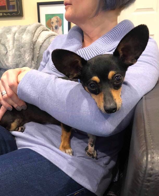 Happy almost-gotcha-day, Popcorn! My parents picked her up a year ago ...