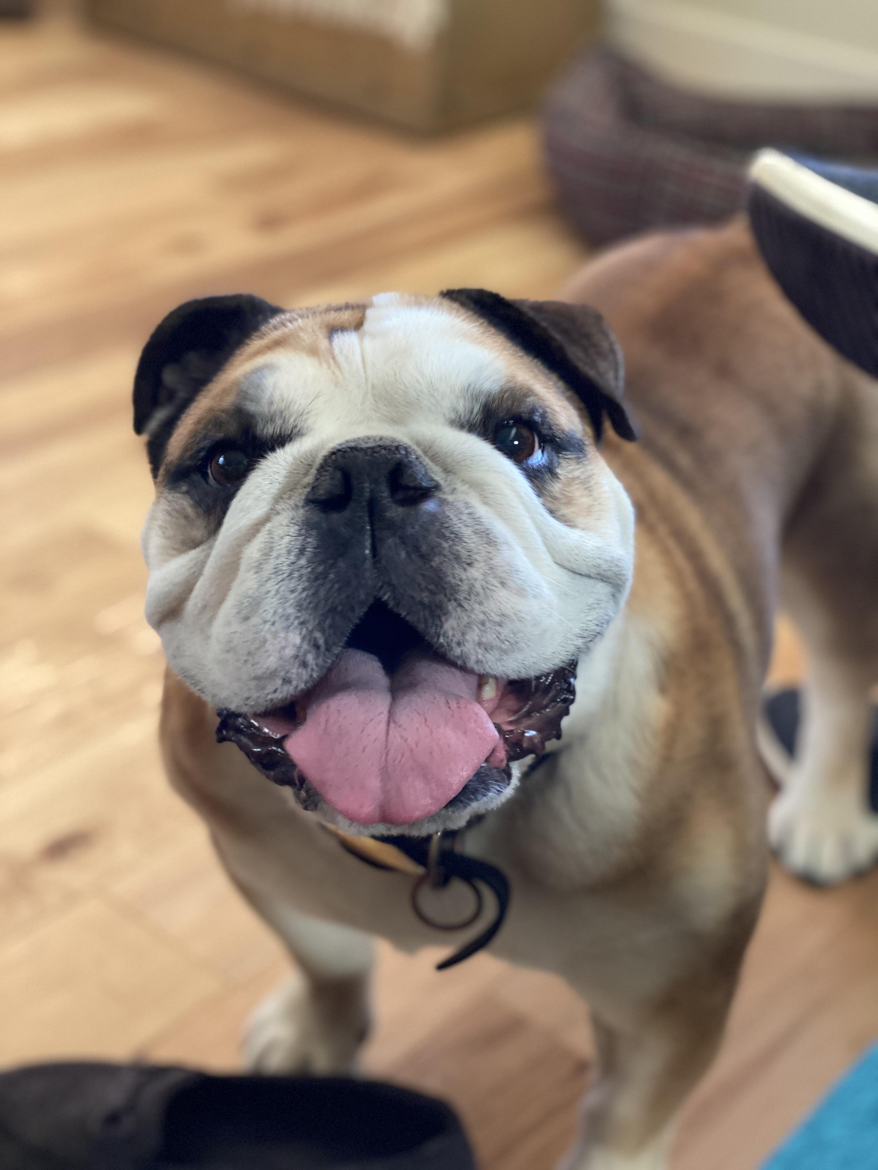 Happy Berry | Scrolller