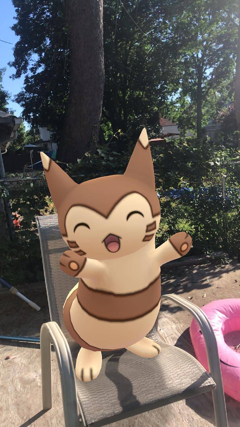 Happy boi | Scrolller