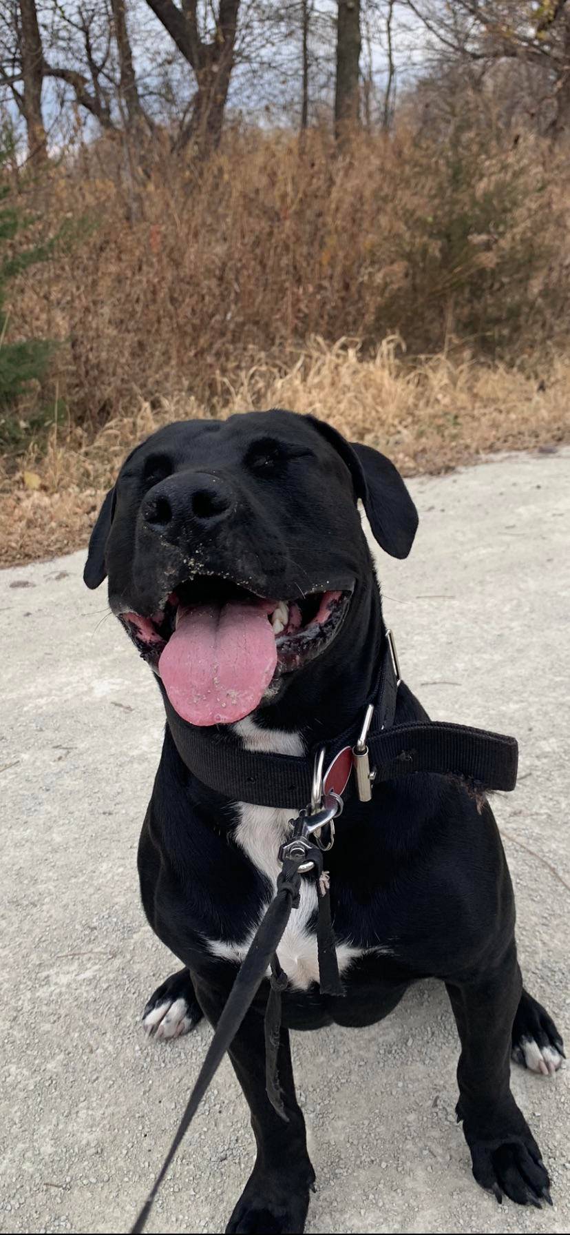 Happy boy | Scrolller