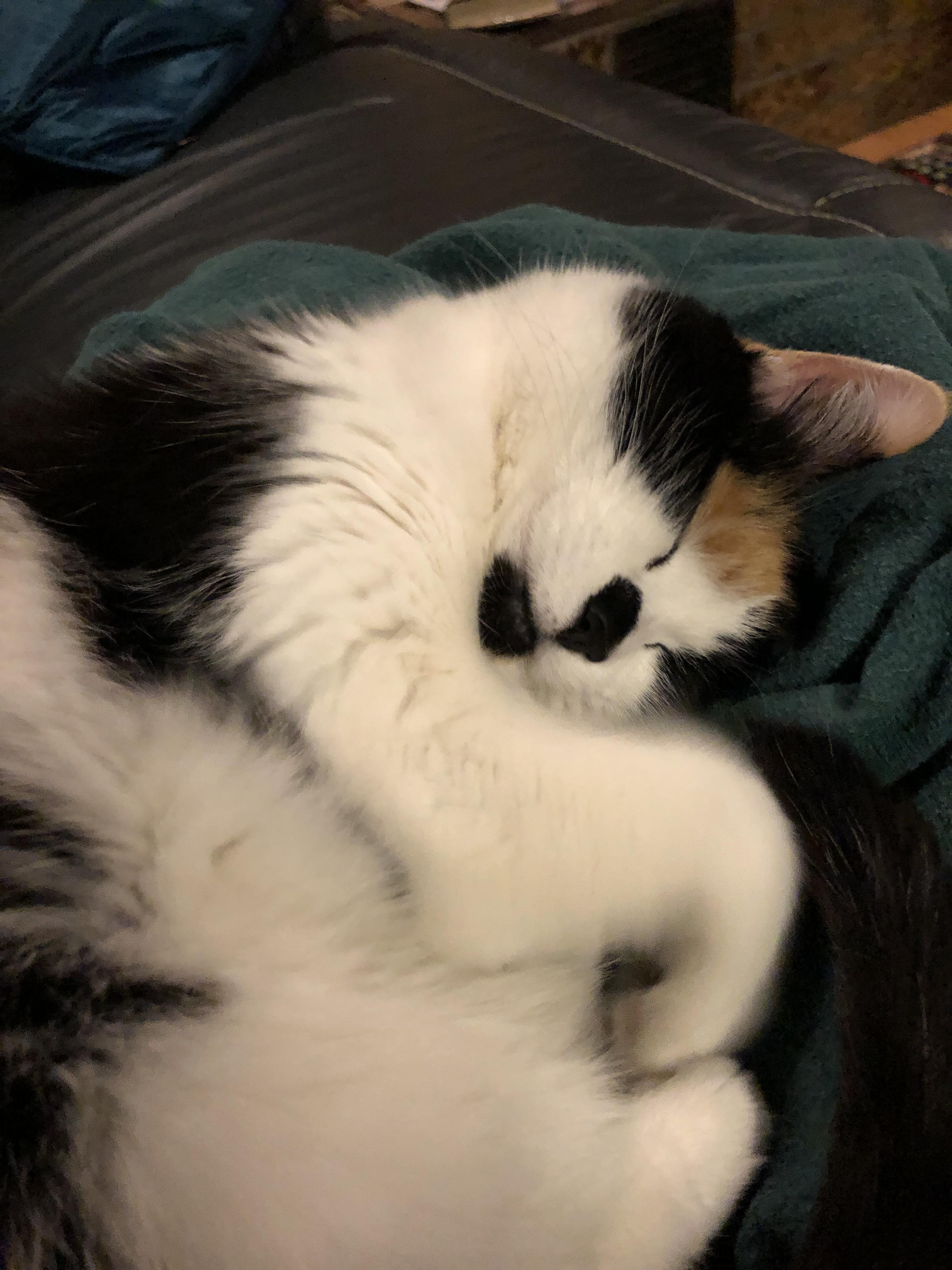 Happy, cozy girl | Scrolller