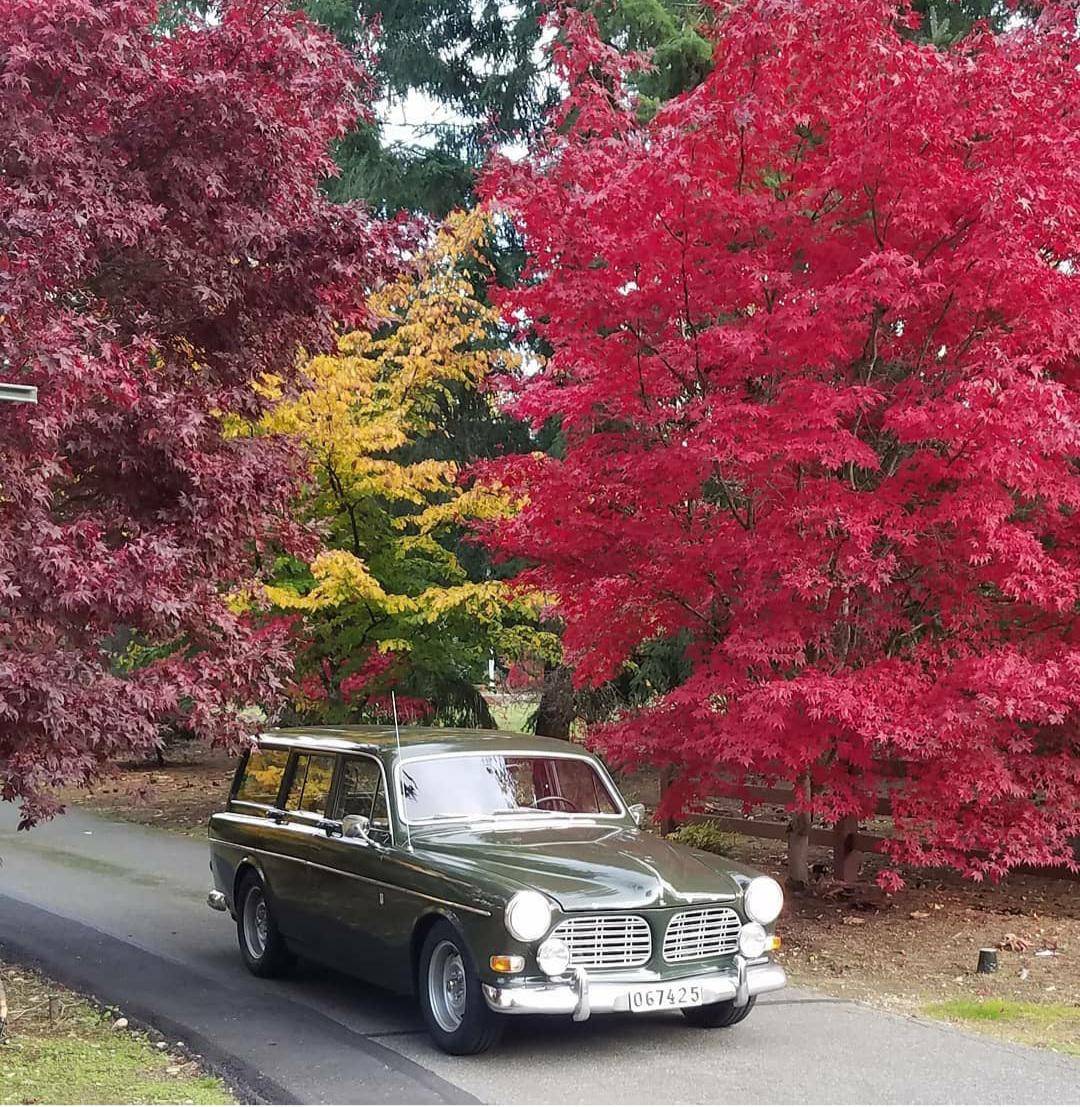 Happy Fall! | Scrolller