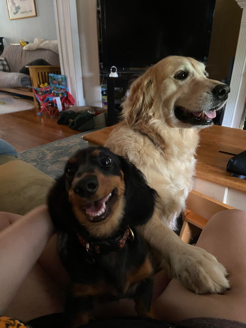 Happy lil boy | Scrolller