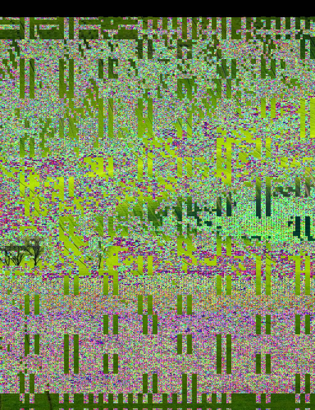 Happy little accident | Scrolller