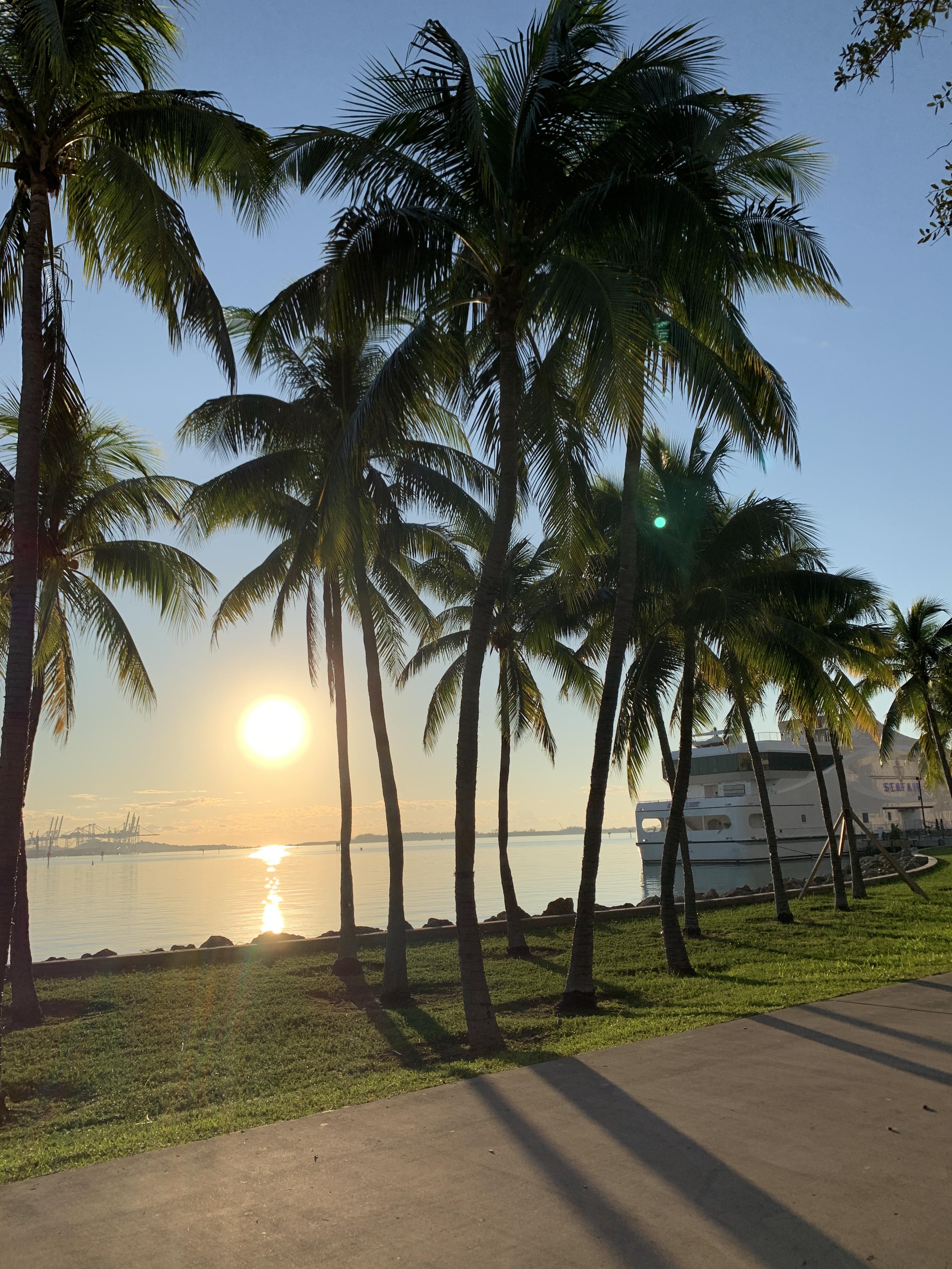 Happy Tuesday everyone | Scrolller