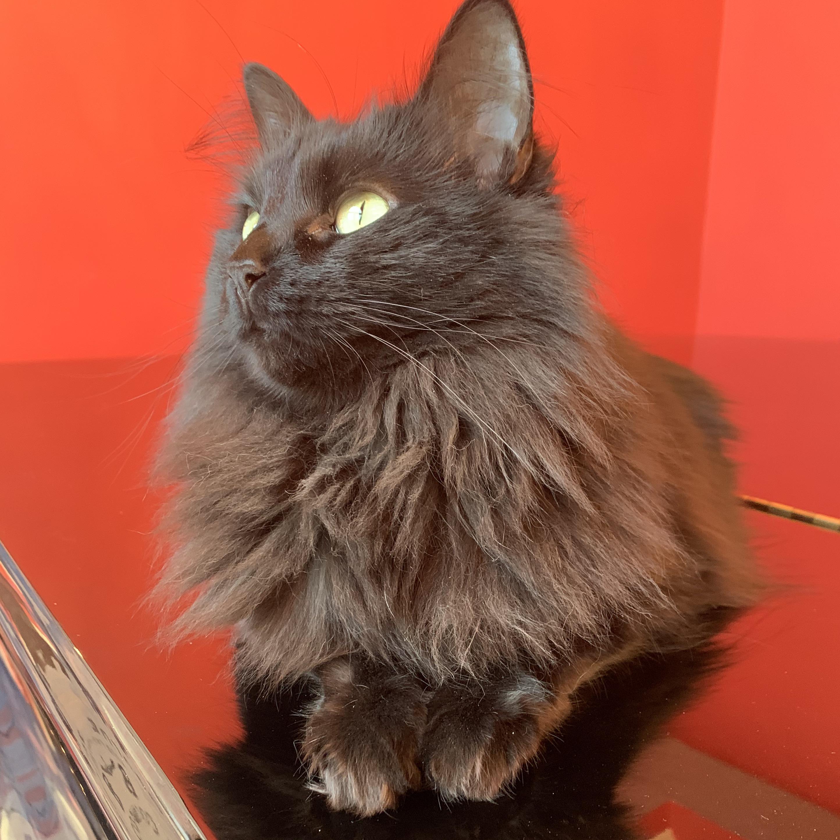 Happy Winter Floof Day! | Scrolller