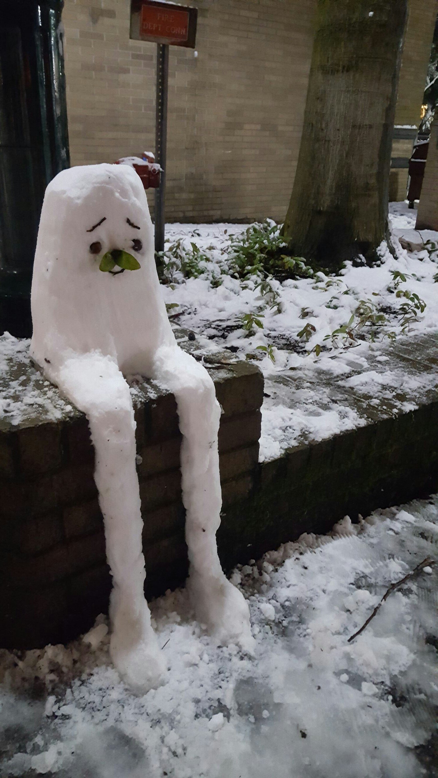 have a snowman gondola | Scrolller