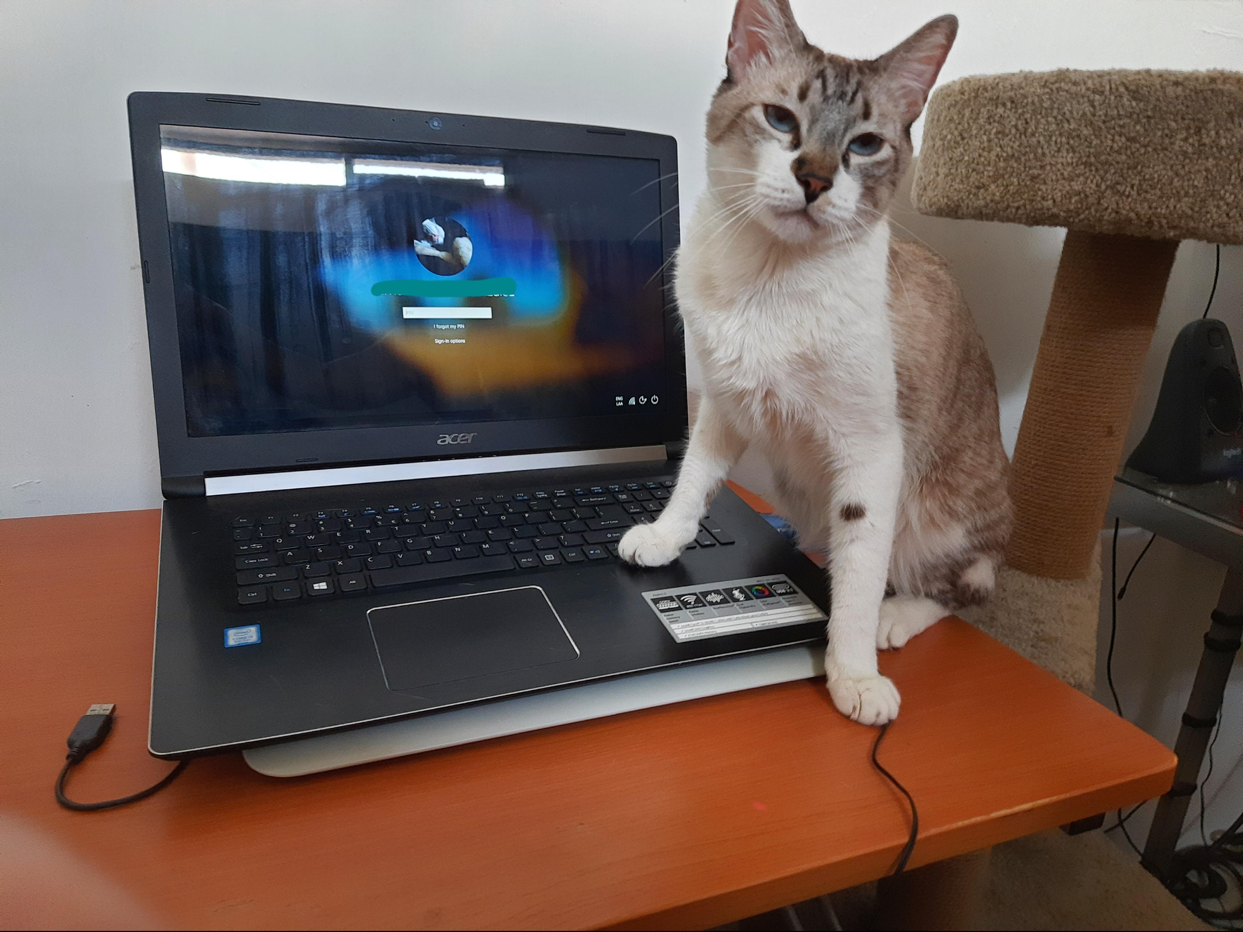 He looks so unamused. | Scrolller