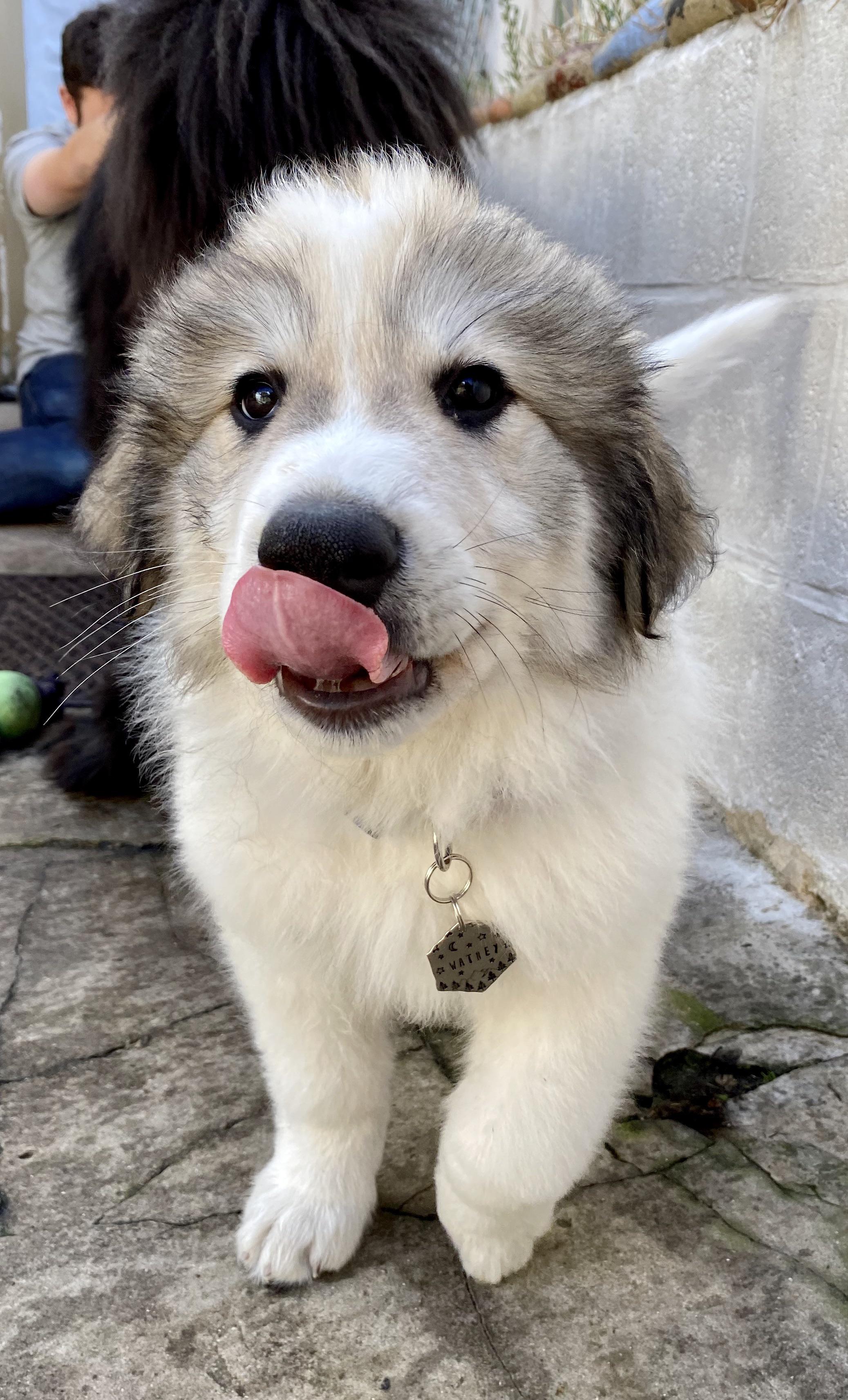 He’s growing so quickly 🥺 | Scrolller