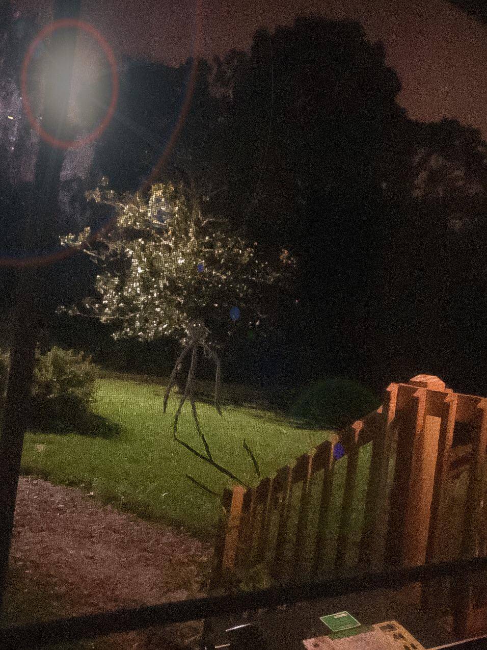 “He’s literally just vibing” | Scrolller