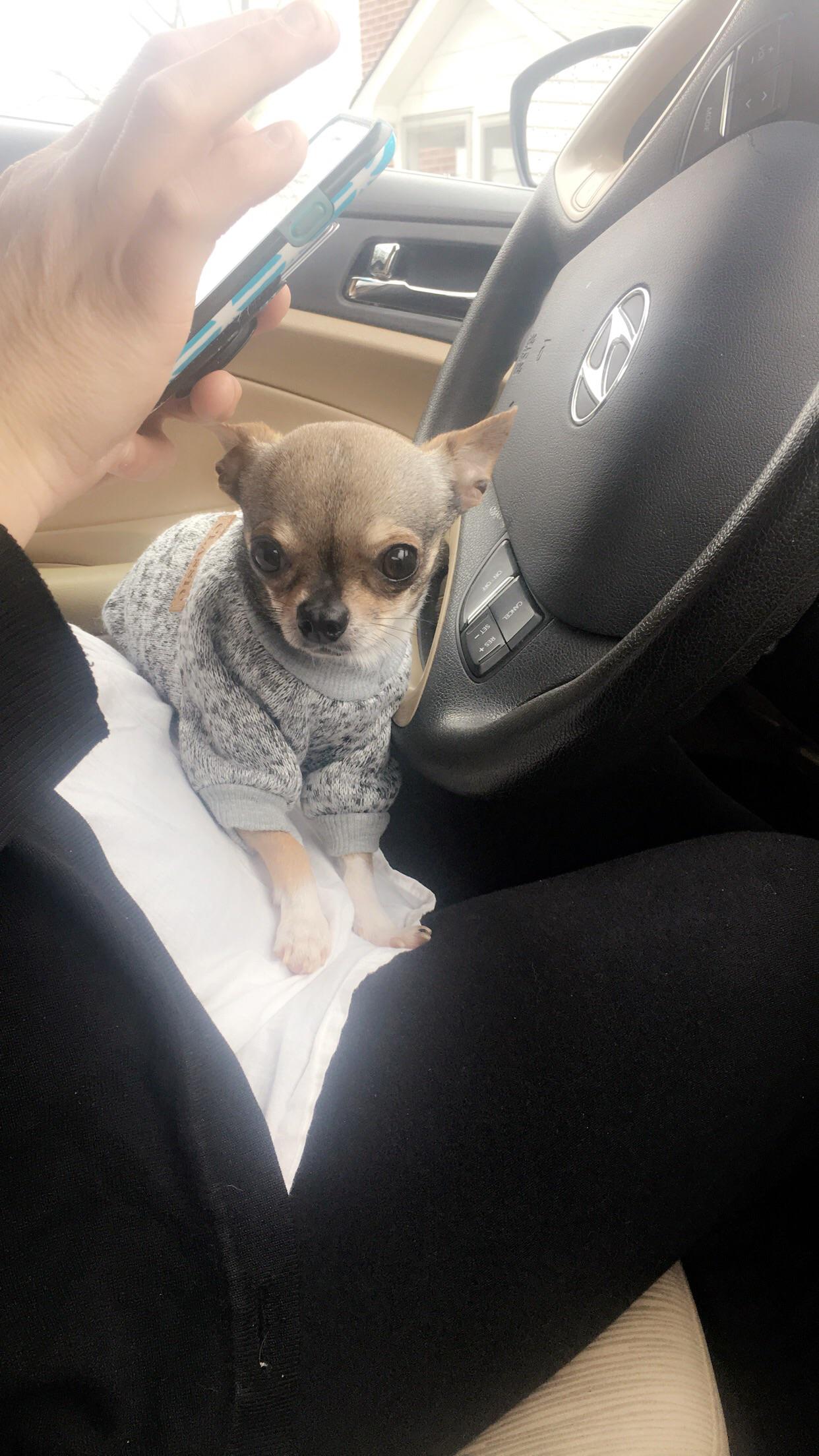 Hes So Cozy Scrolller