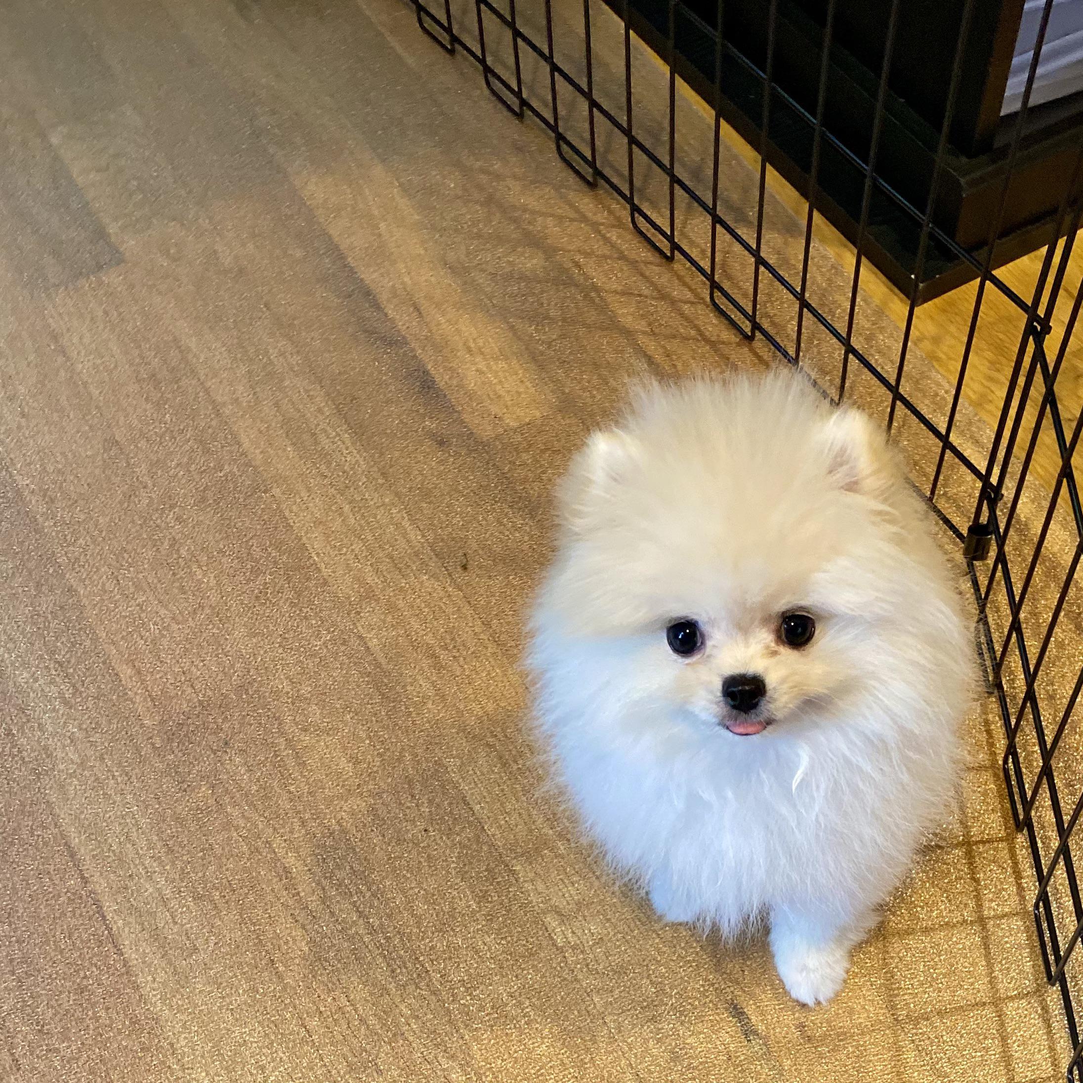 Hello everyone! It’s my first day home, and first post here. My name is ...