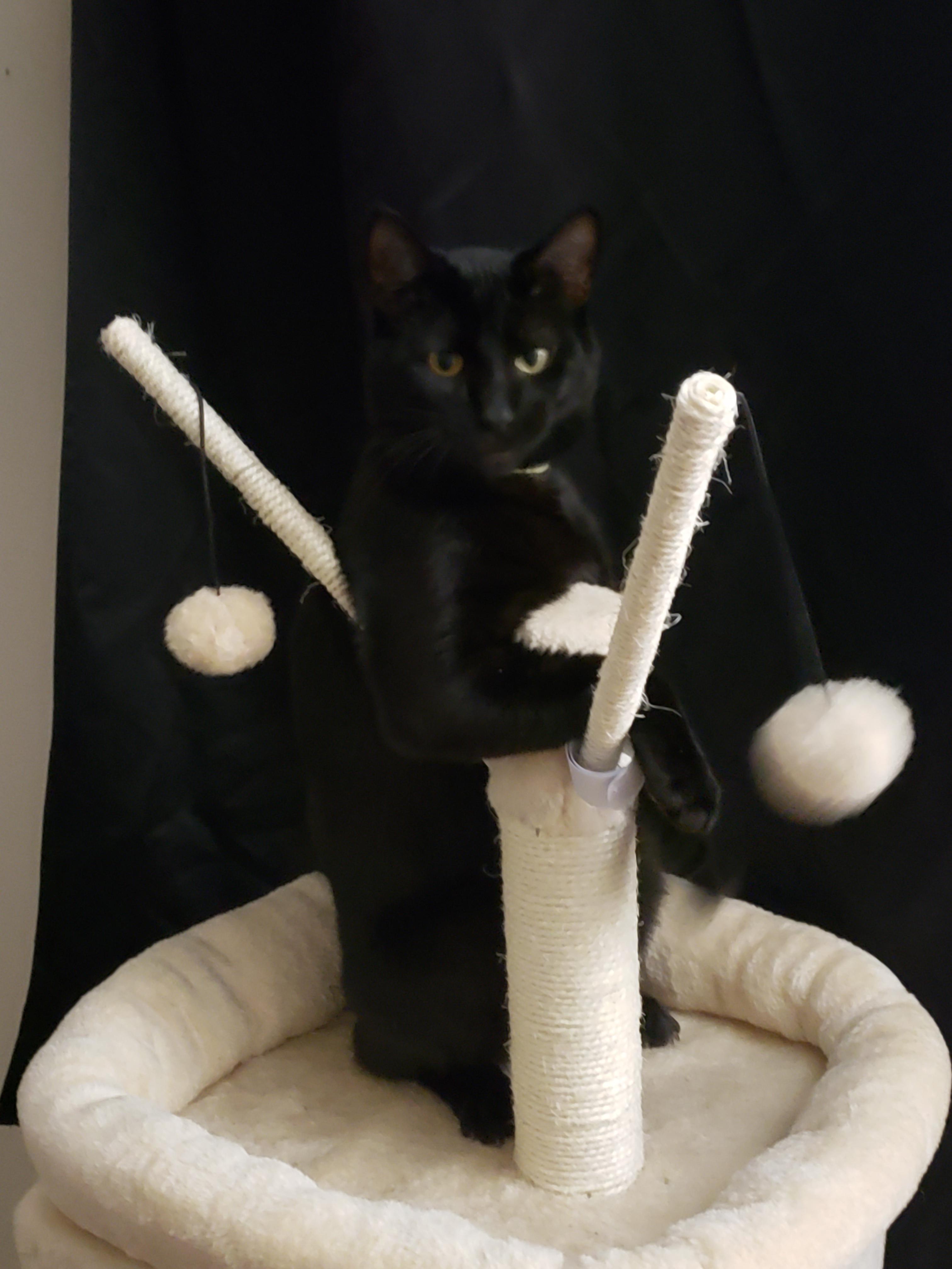 Hello handsome! | Scrolller