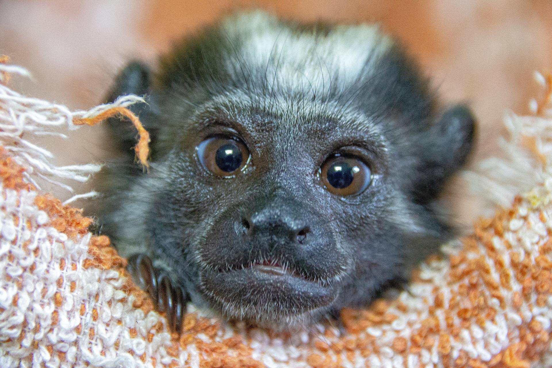 Hello there! | Scrolller