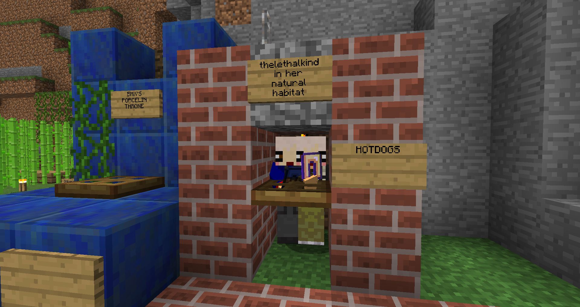 Hello, this is lethal, would you like some pants? | Scrolller