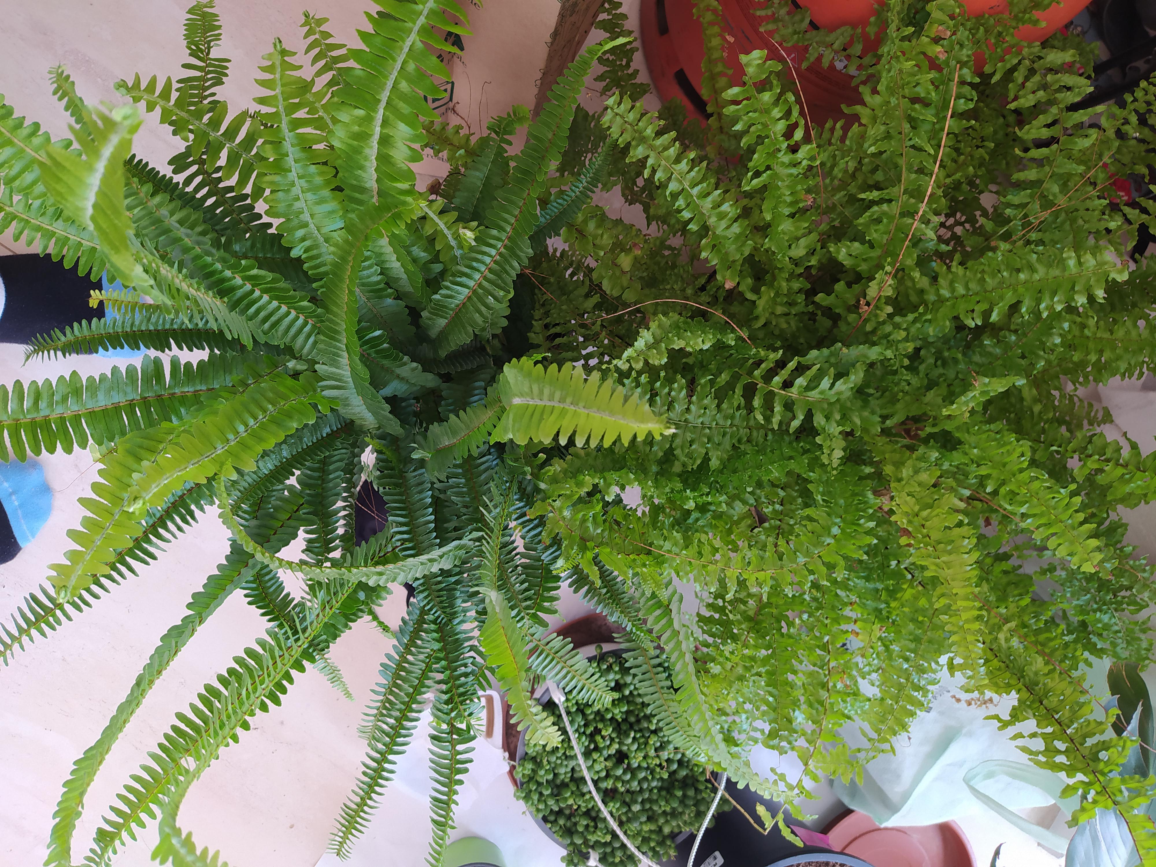 Help identifying these two guys? | Scrolller