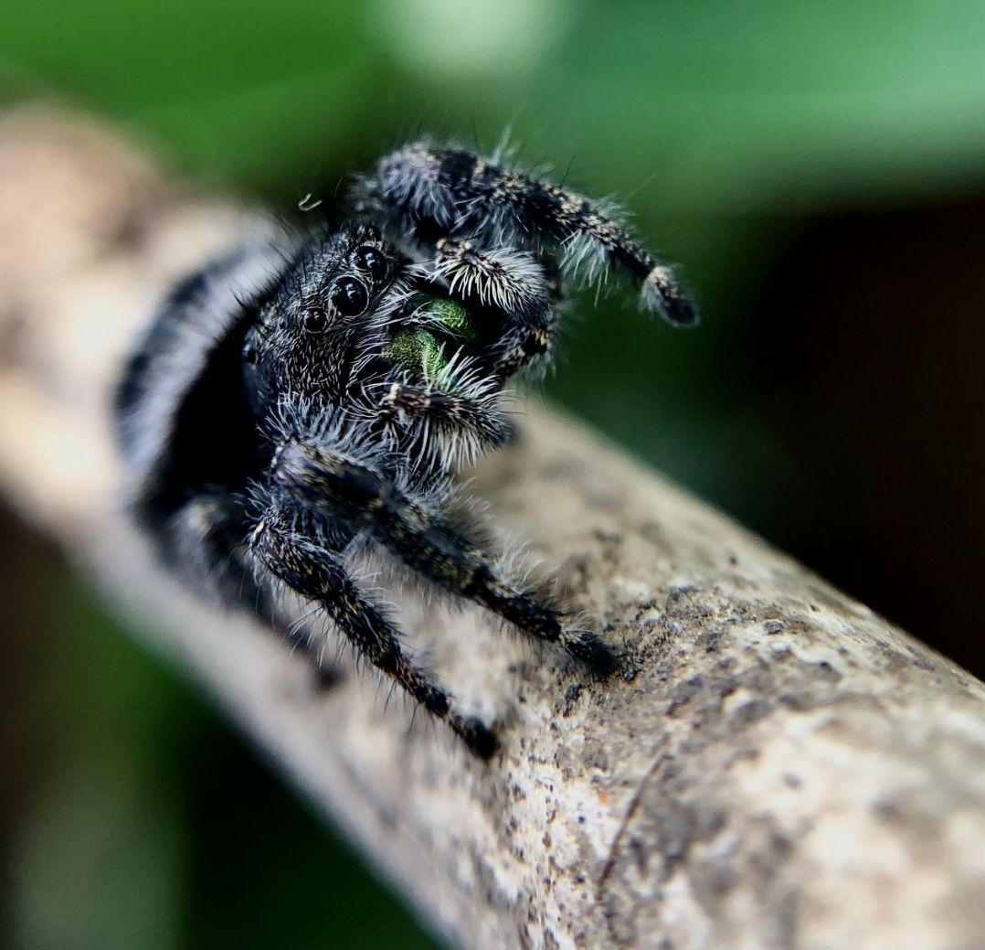 Help naming her? (See comment) | Scrolller