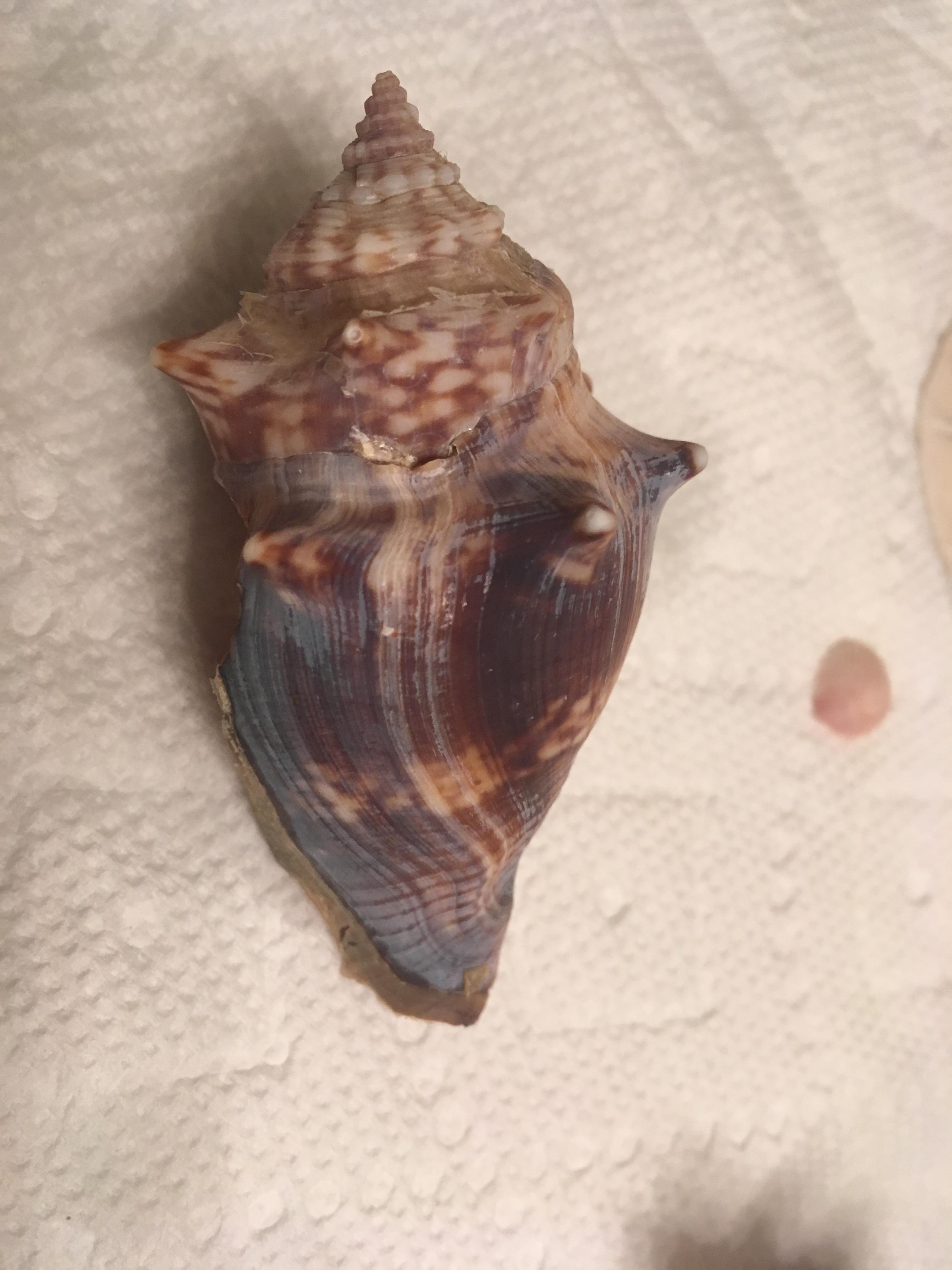 Help! What’s this white layer. | Scrolller