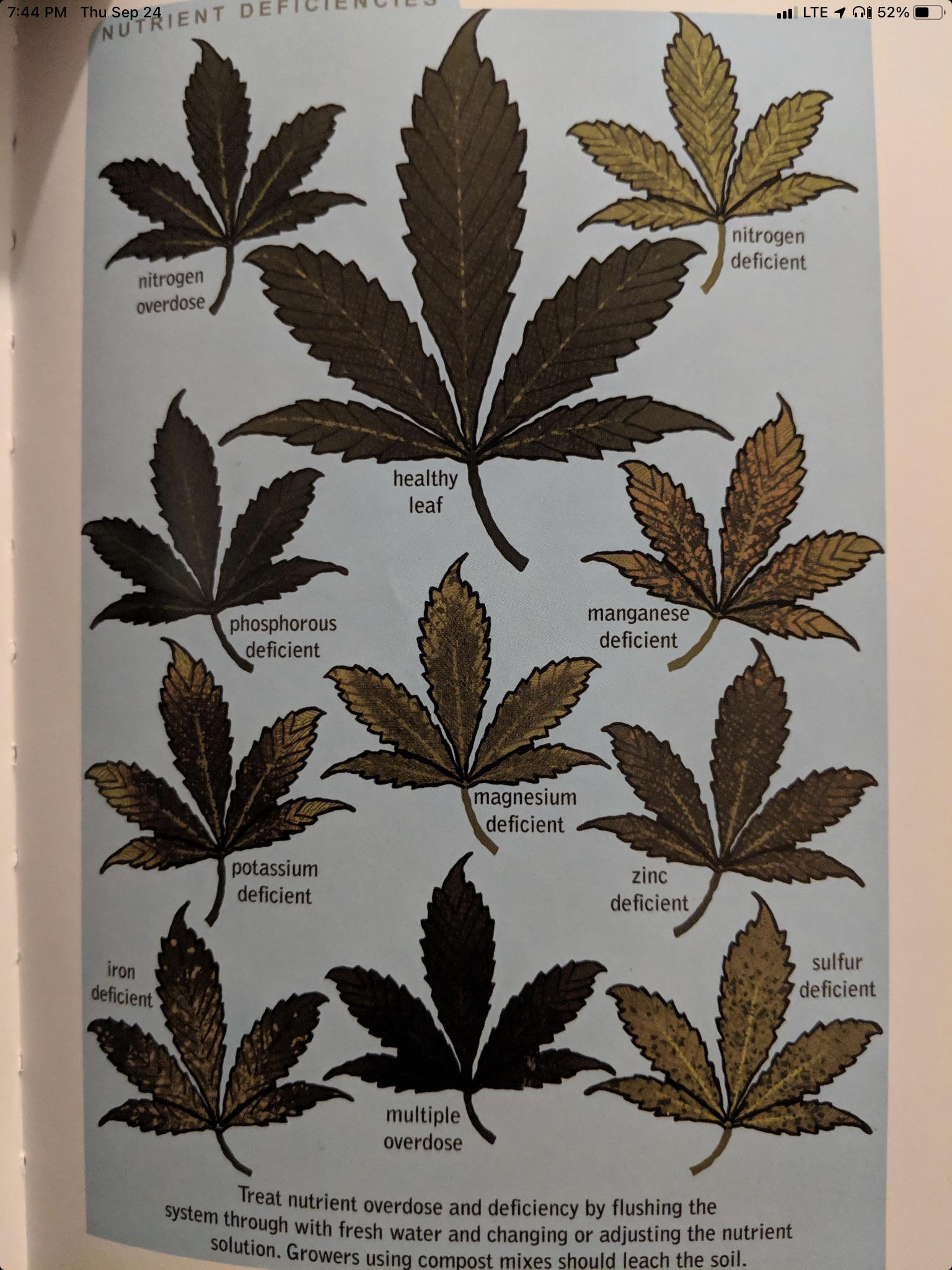 Helpful poster for leaf discoloration | Scrolller