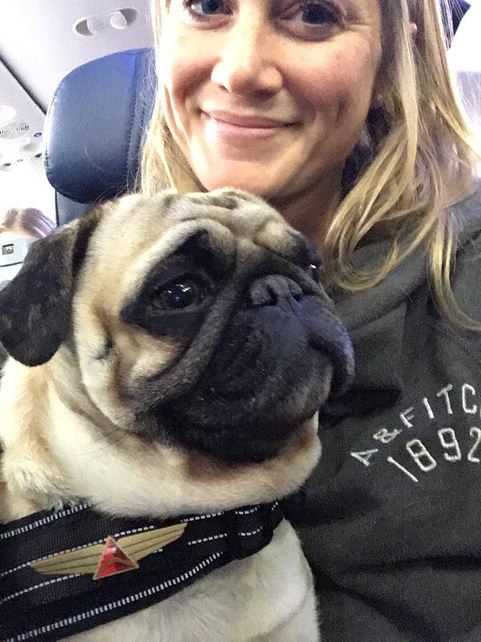 Henry got his wings! | Scrolller