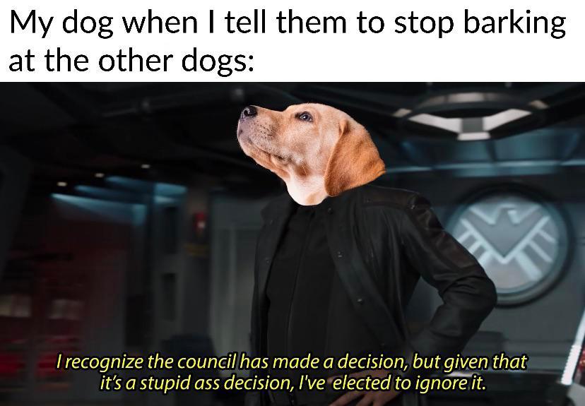 Her bark is very loud. | Scrolller