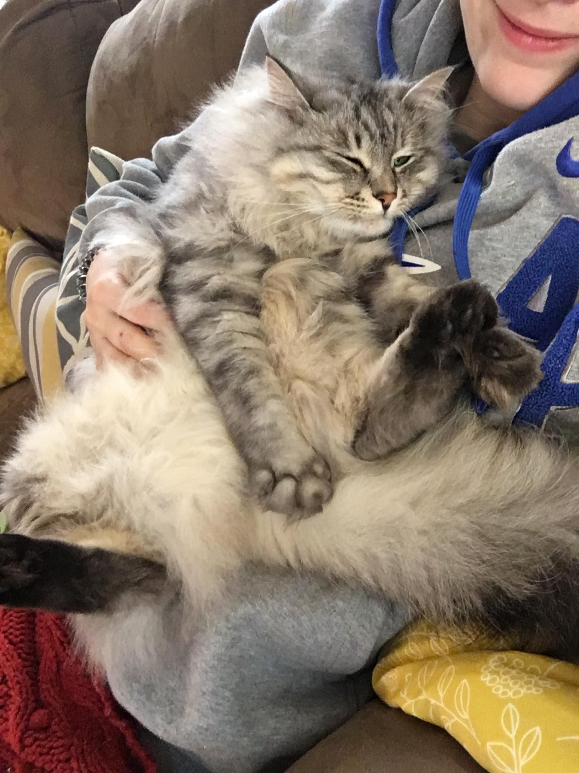 Her favorite way to snuggle. | Scrolller