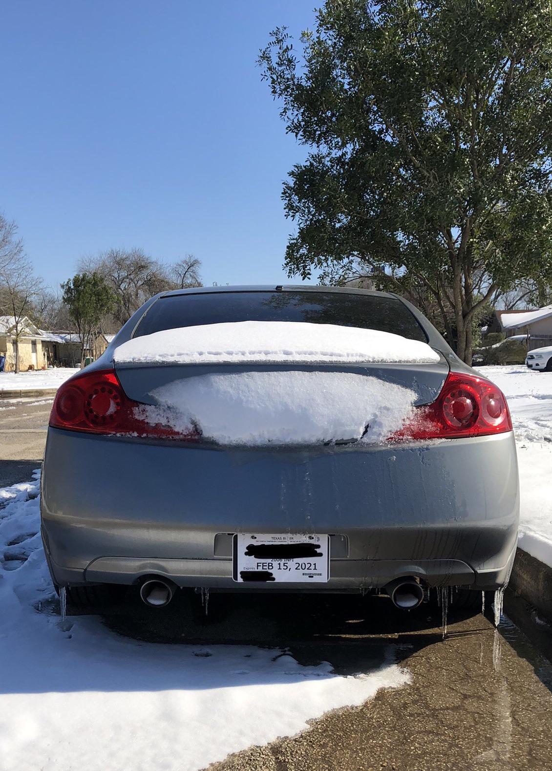 Her first snow 🥶 | Scrolller