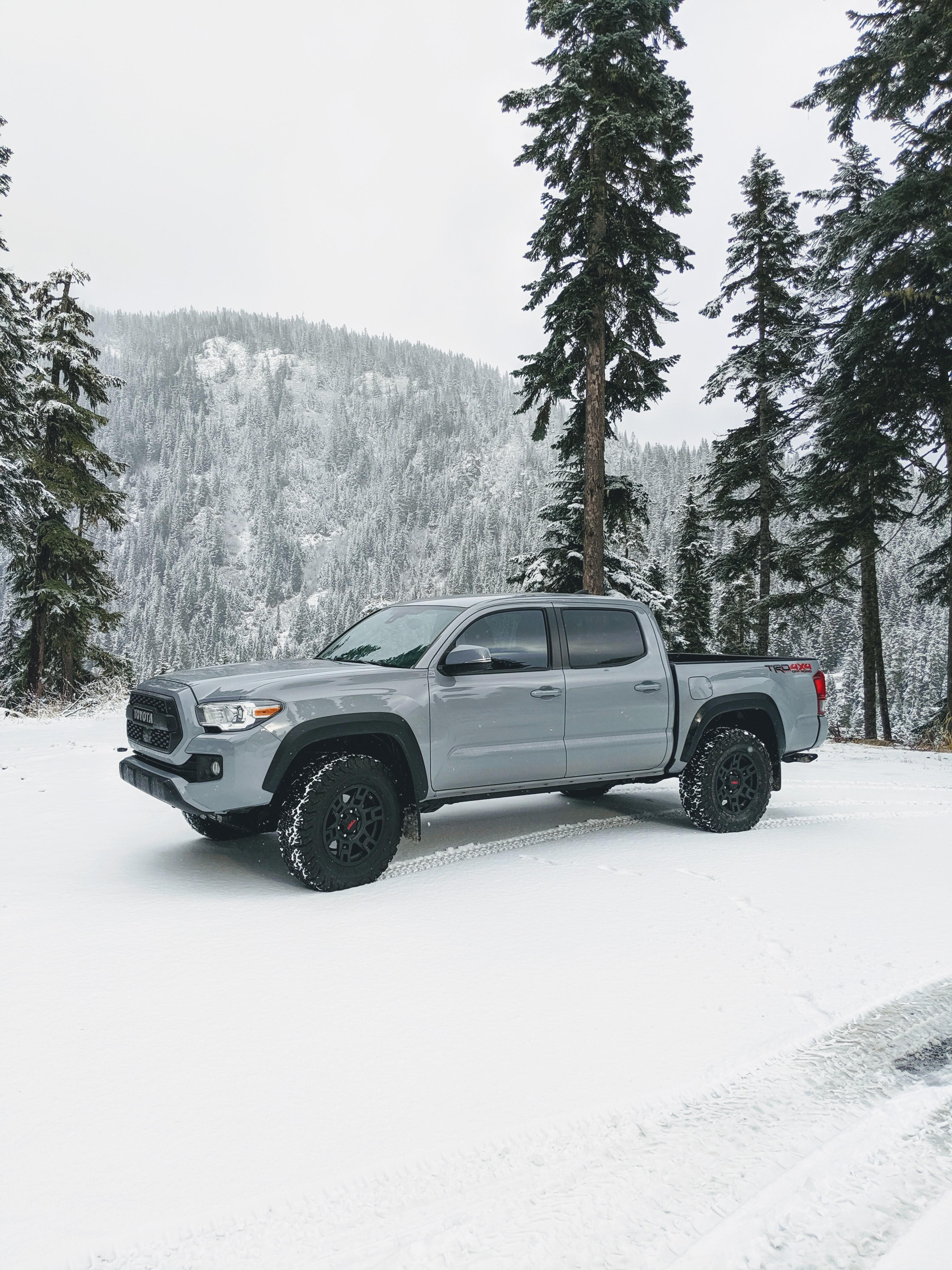 Her first snow! | Scrolller