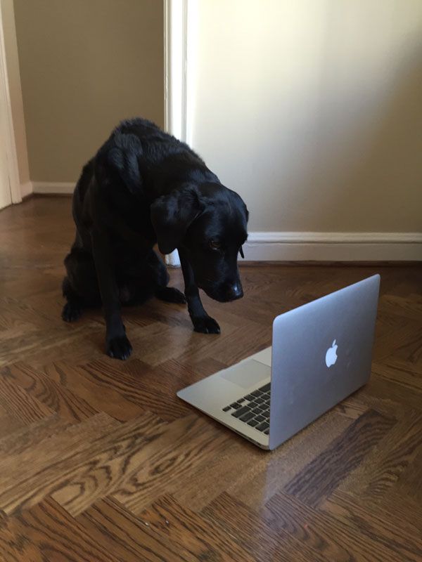 Her instructions are clear. If it drops below 20, click it. | Scrolller