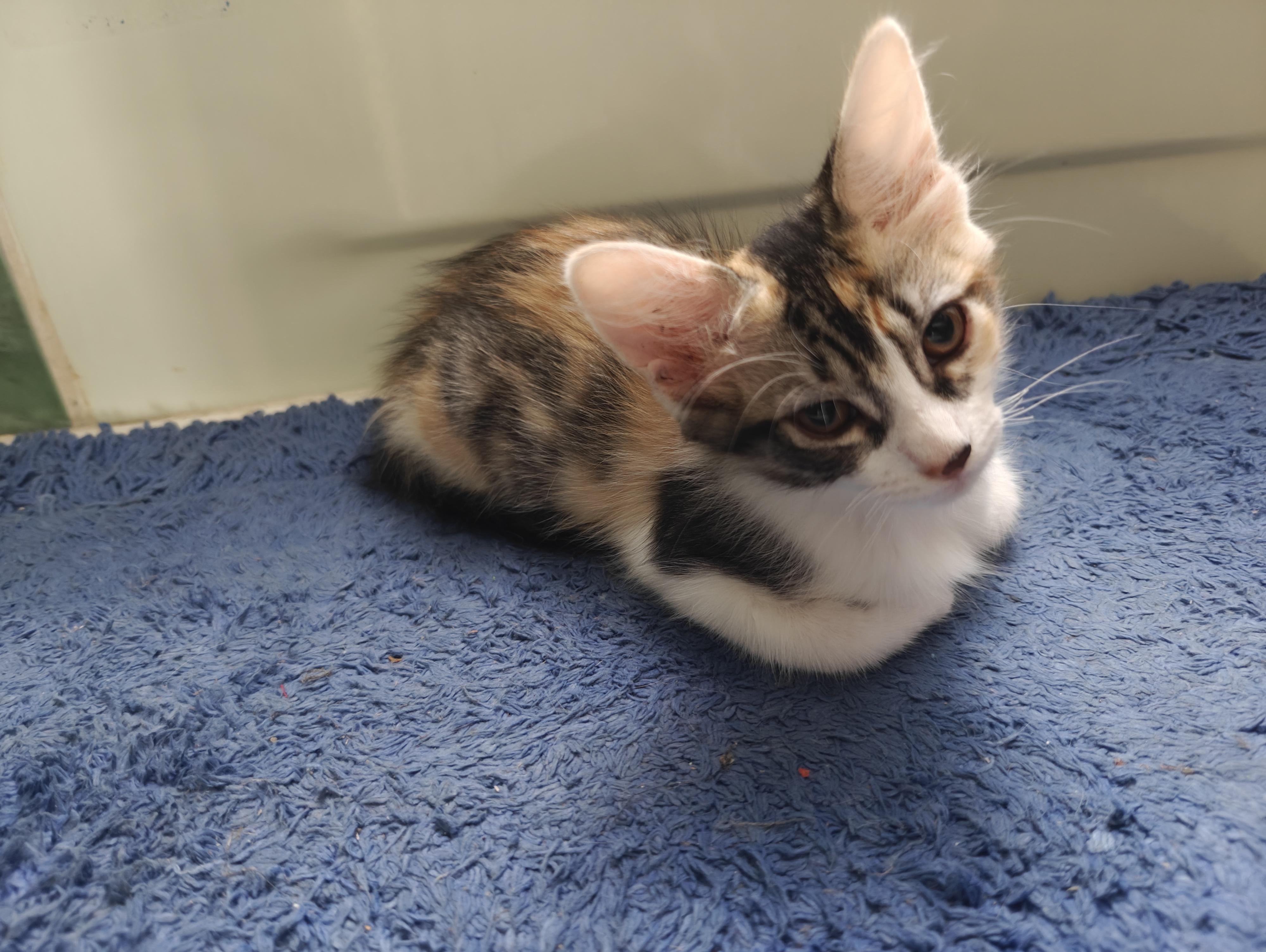 Her loaf is improving | Scrolller