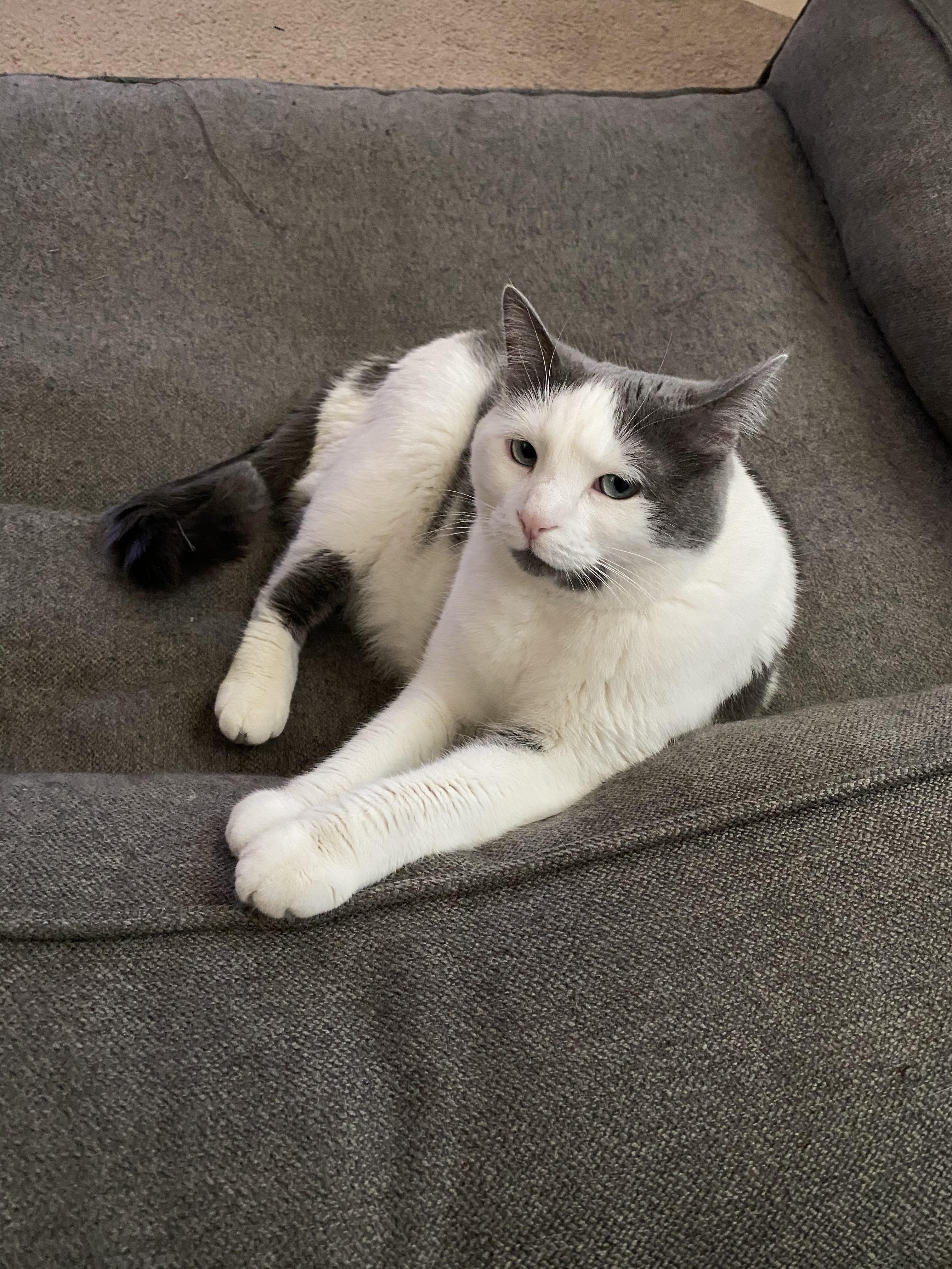 Her name is Purdy Gurl... | Scrolller