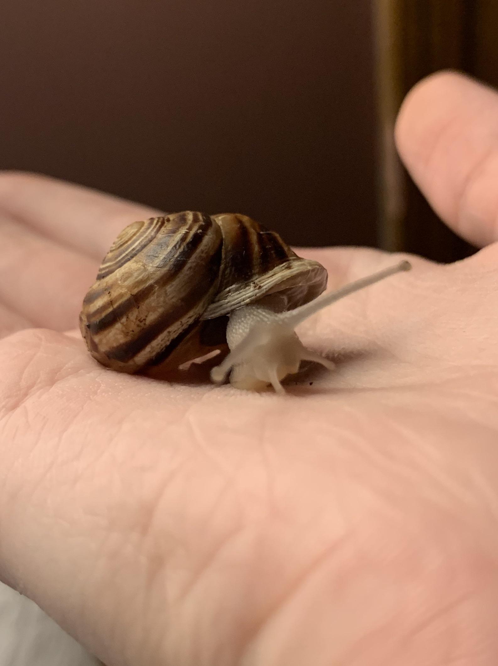 here is pluto :) | Scrolller