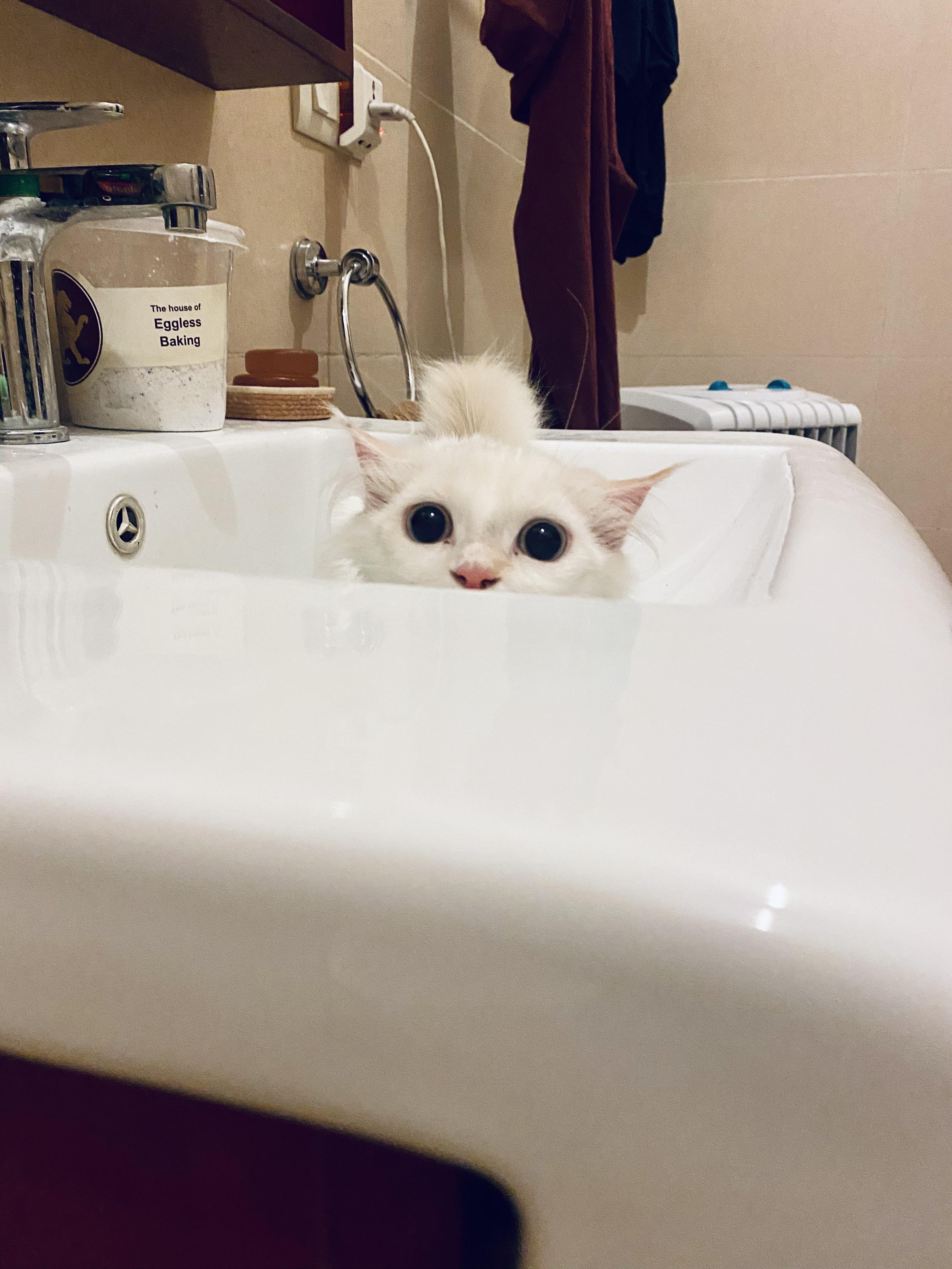 Here’s mine! | Scrolller