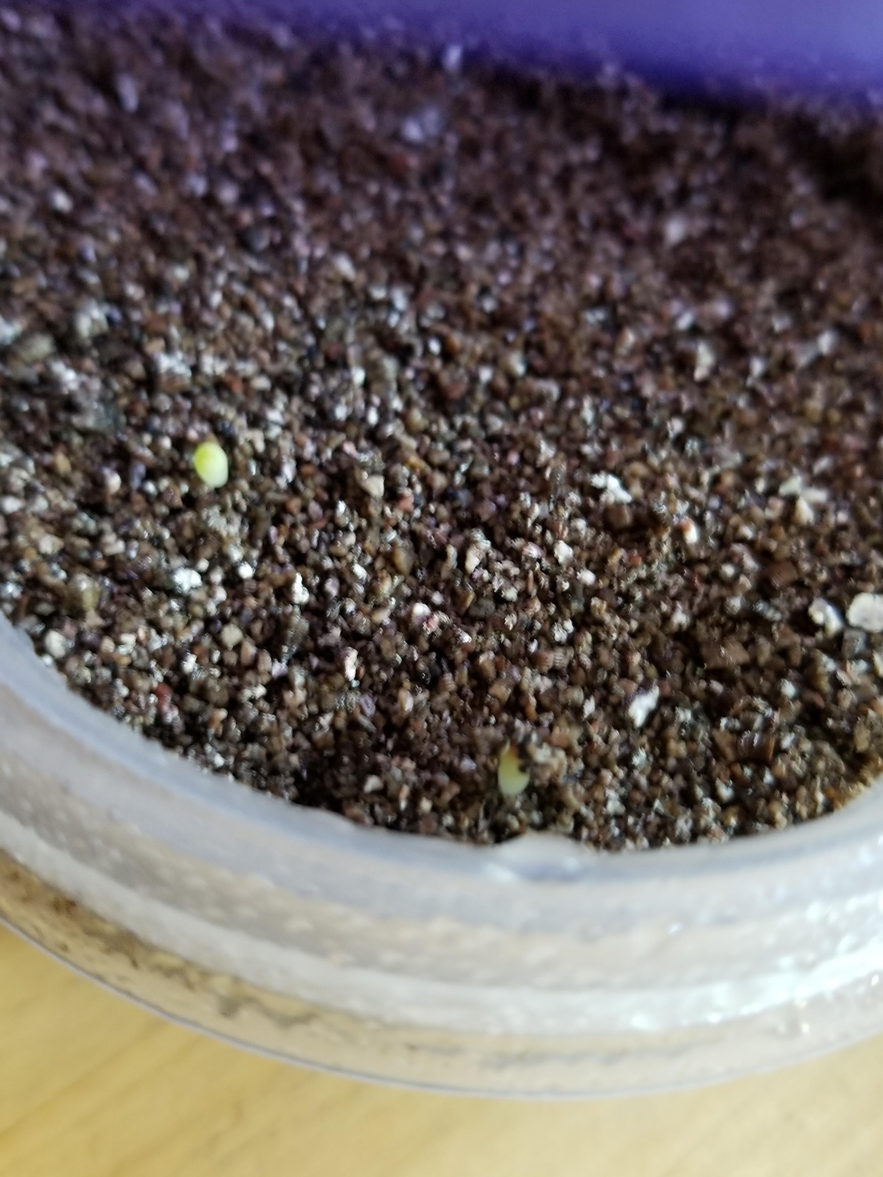 Here's to a long journey ahead | Scrolller