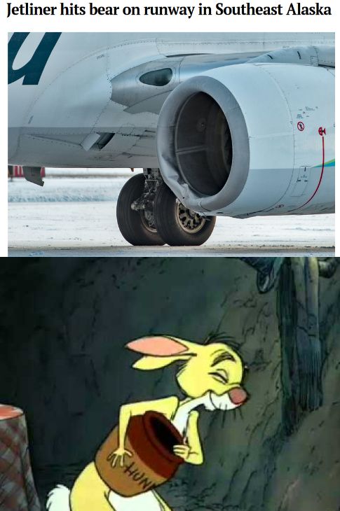 Hey, has anybody seen Pooh? | Scrolller