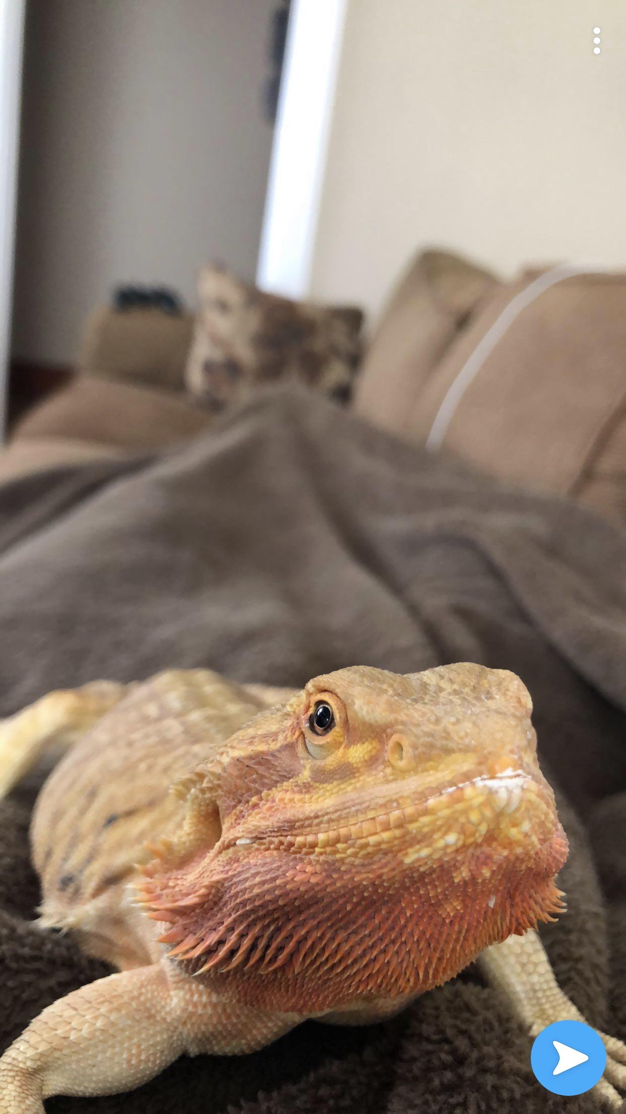 “Hey there! Got any crickets?” | Scrolller