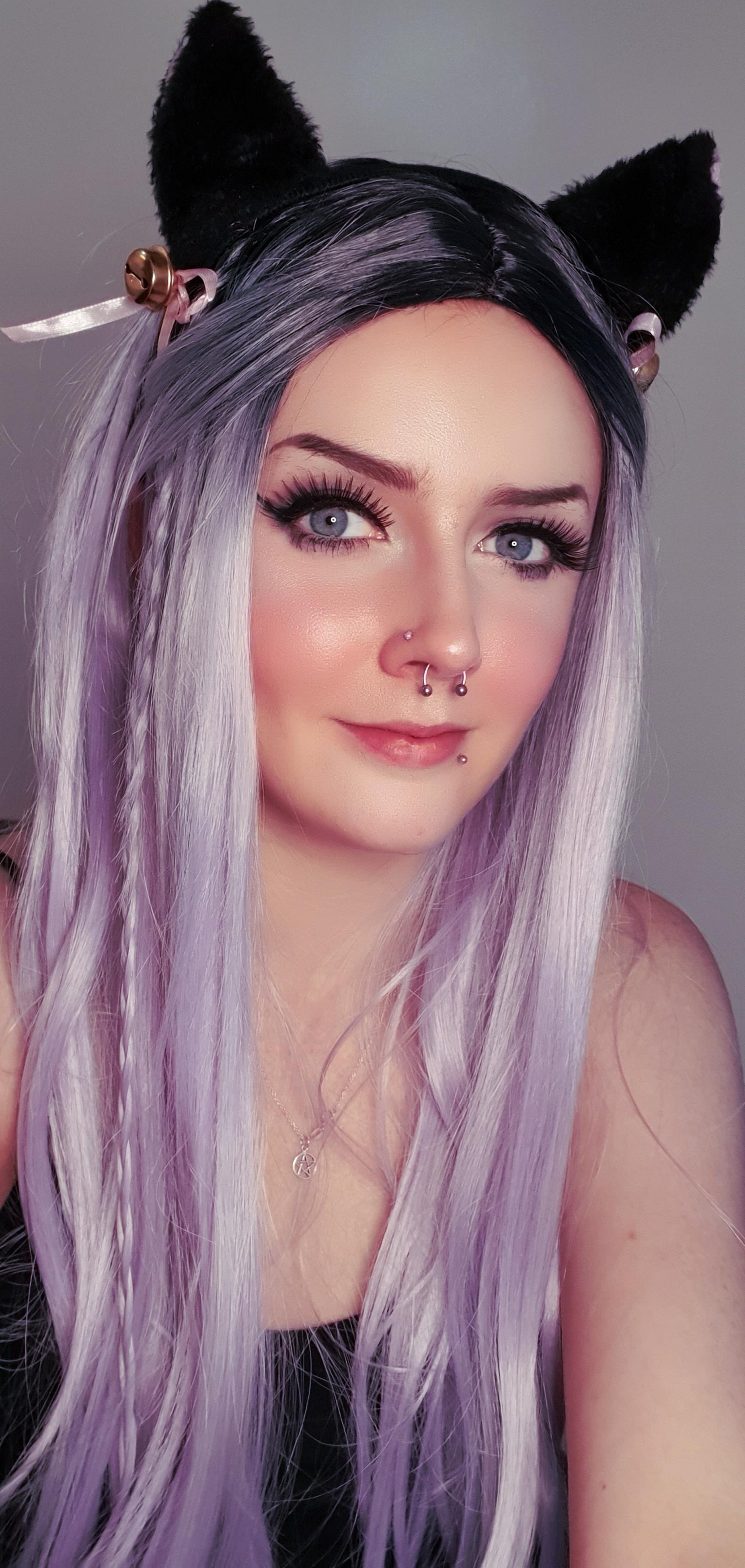 Hi I Hope You Like Catgirls 💞 Scrolller