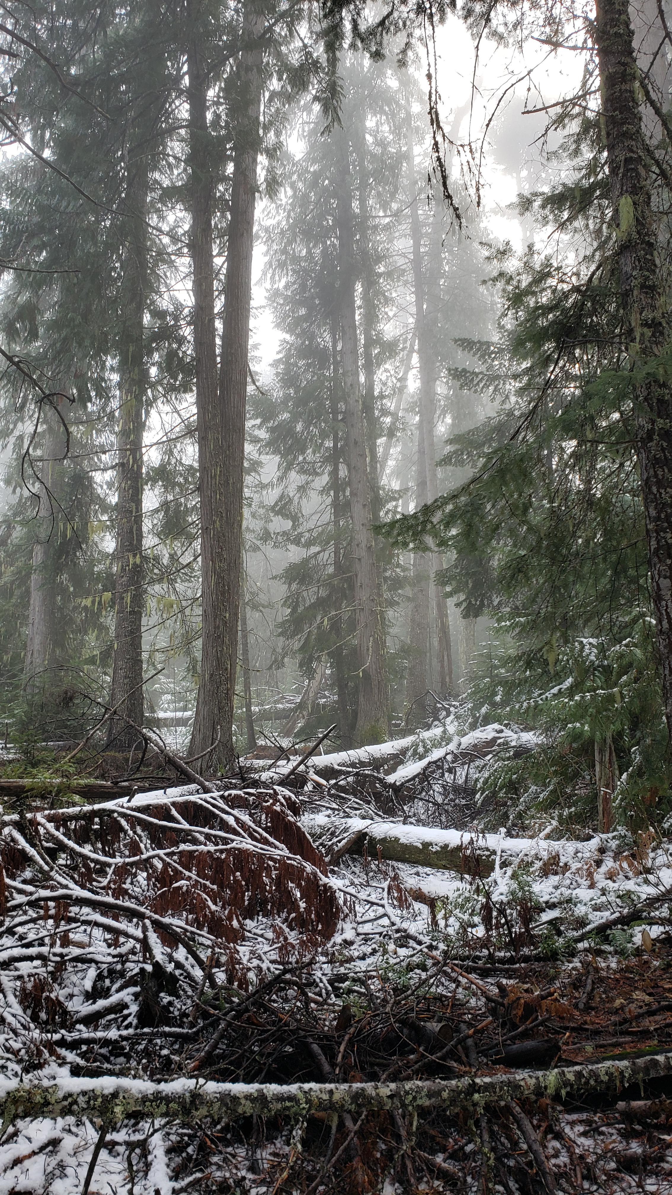 Hidden Lake hike - North Cascades | Scrolller