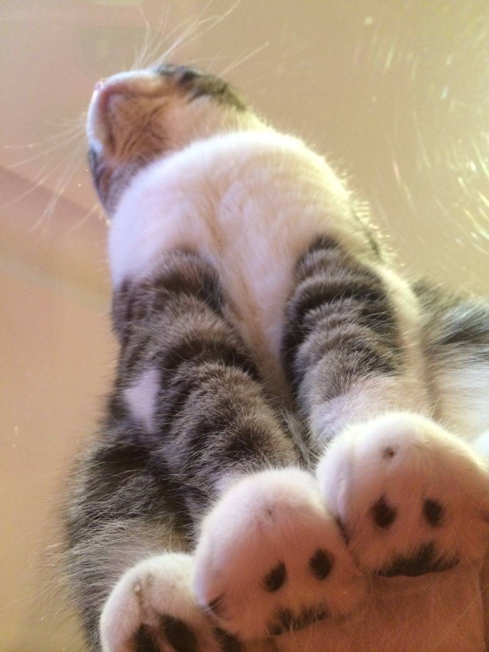 High and Mighty | Scrolller