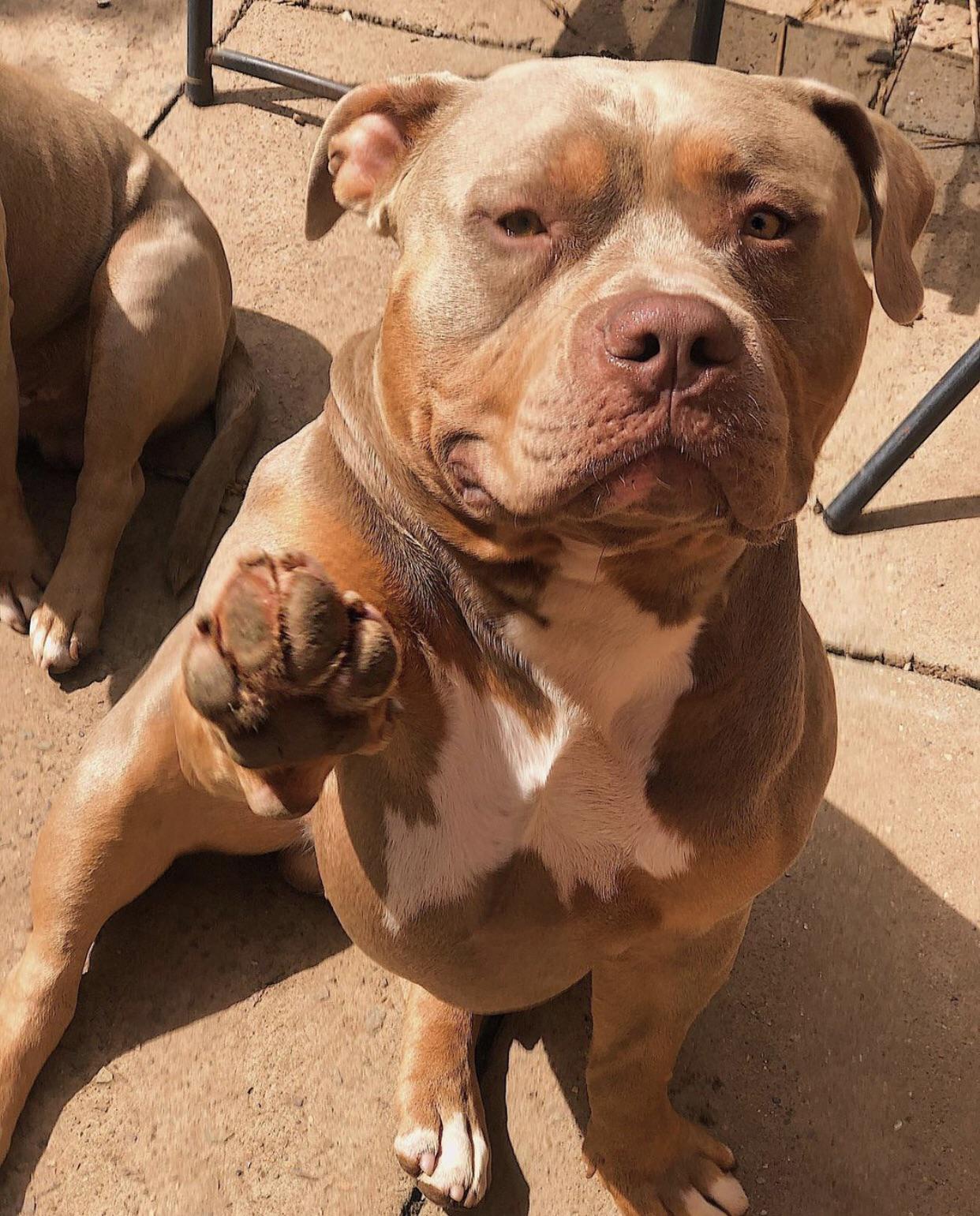 High five? | Scrolller