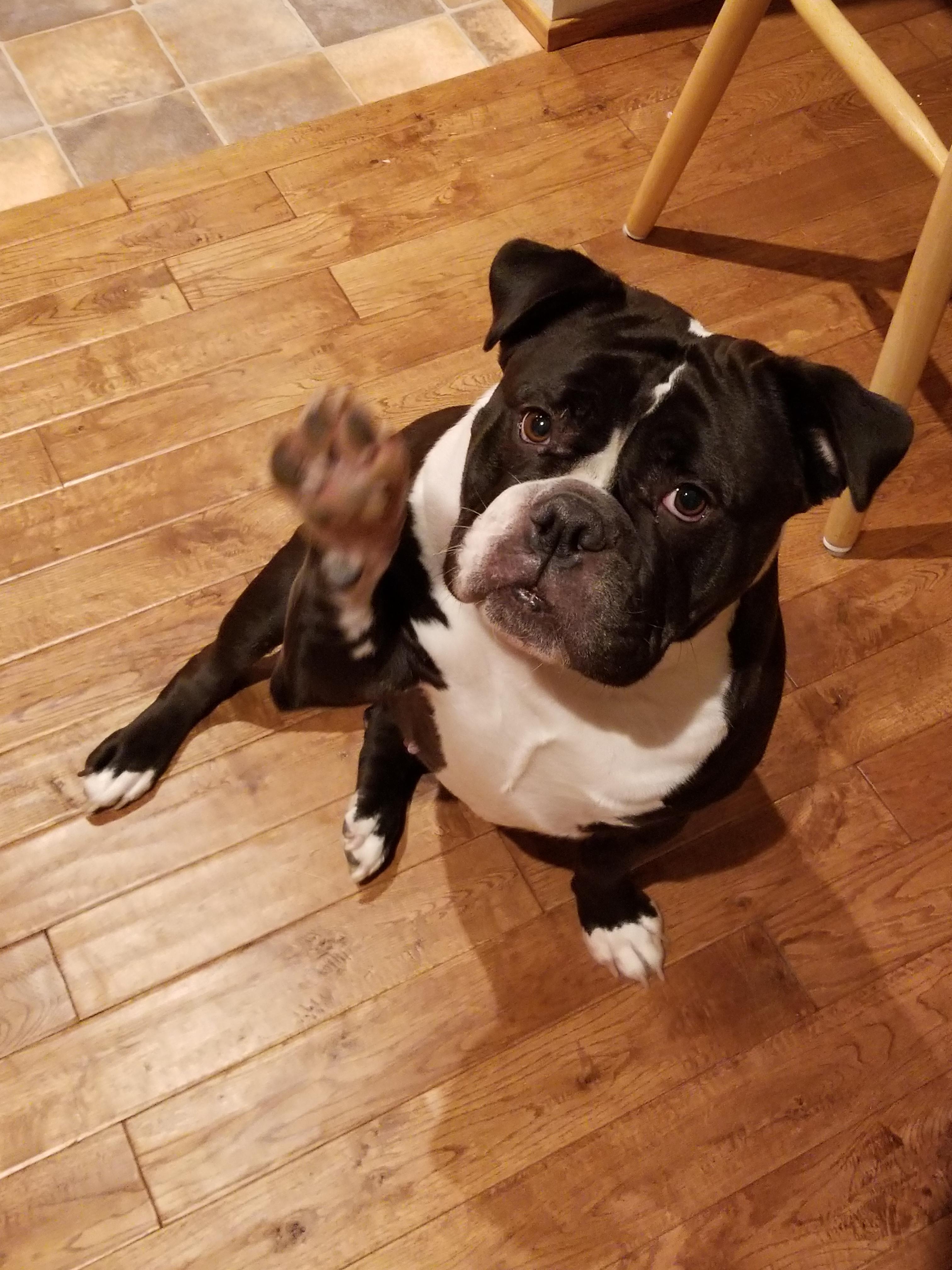 High five mom | Scrolller