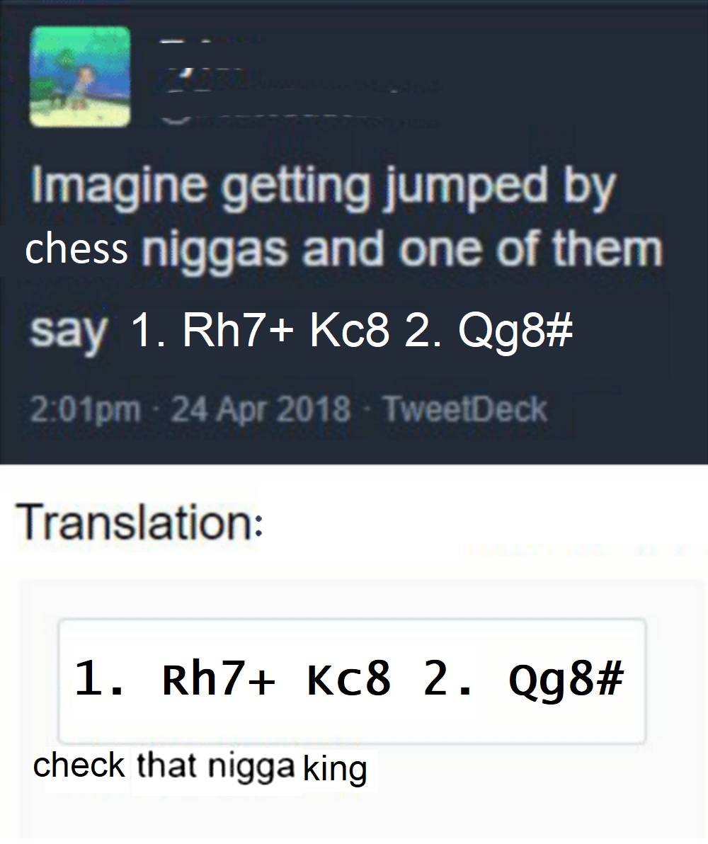 High IQ time | Scrolller