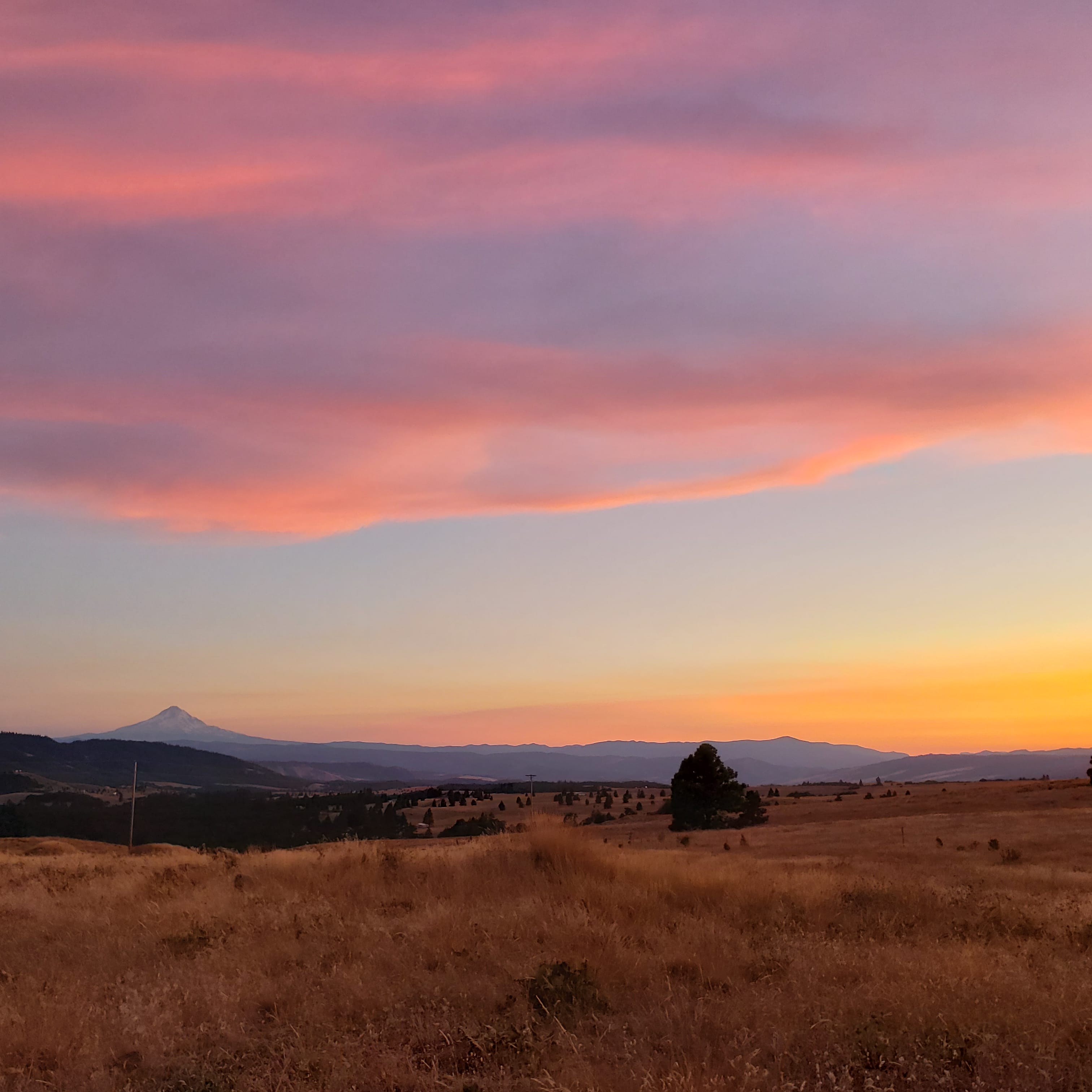 High Prairie WA state sunset | Scrolller