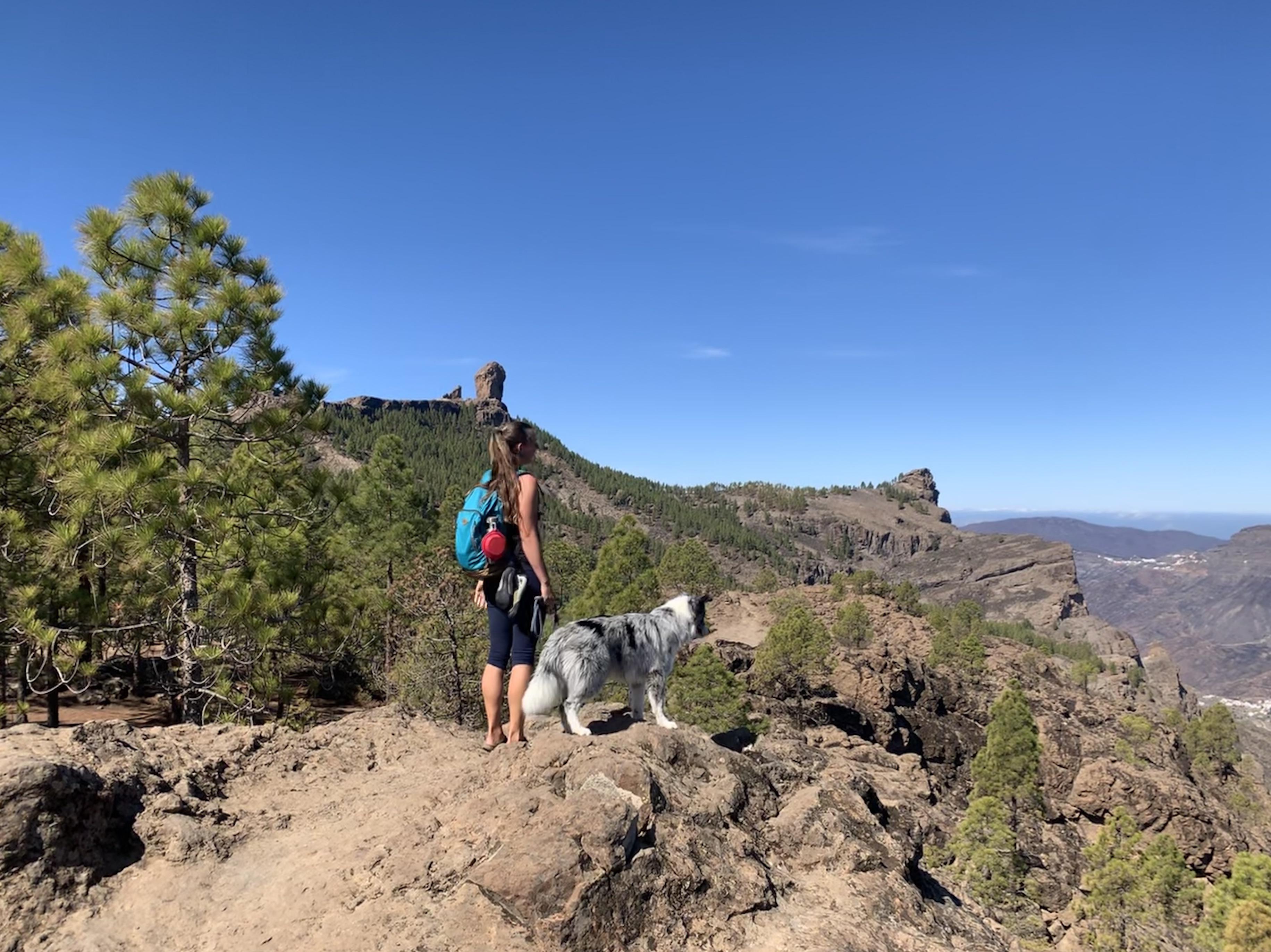 Hiking out to find some rocks to climb with my partner who took this ...