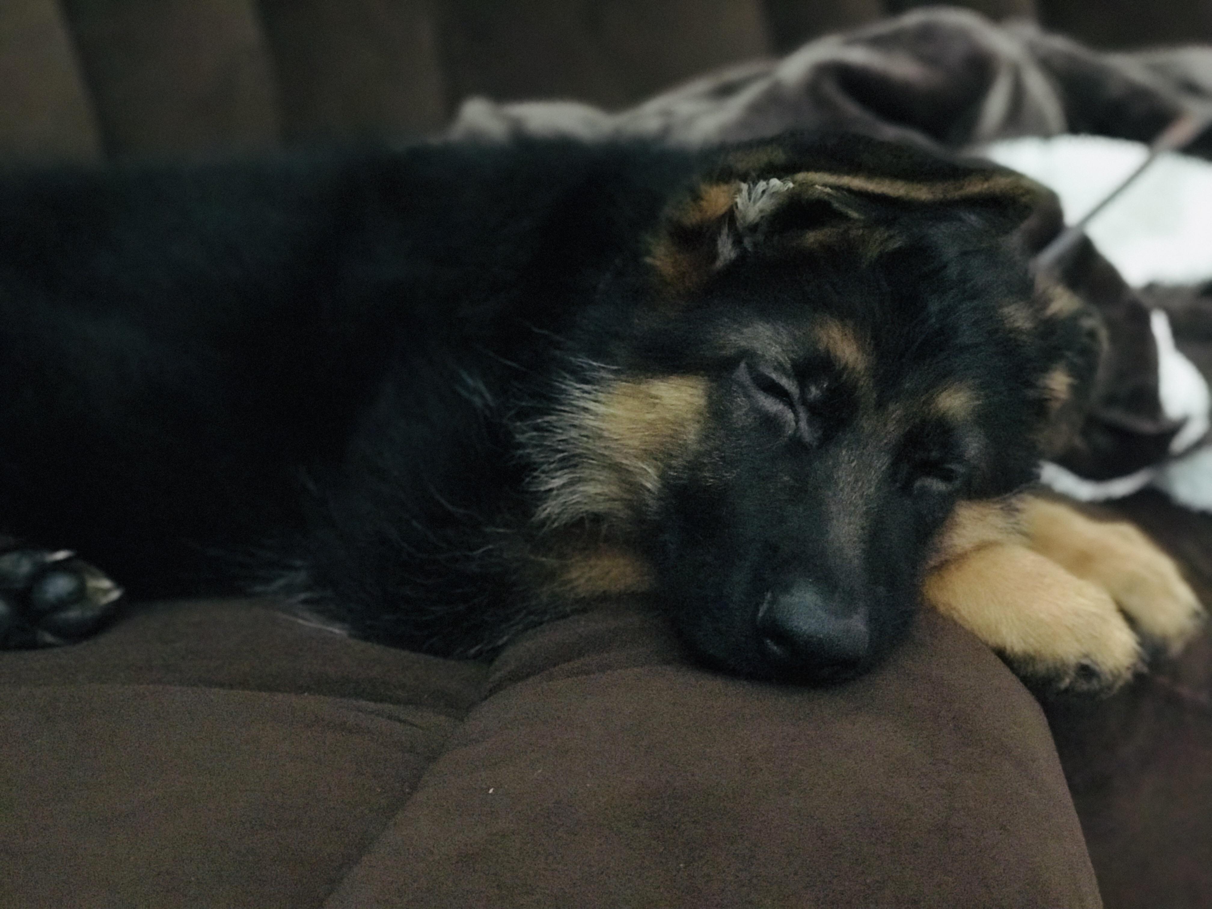 Hims a handsome little shit ️ | Scrolller