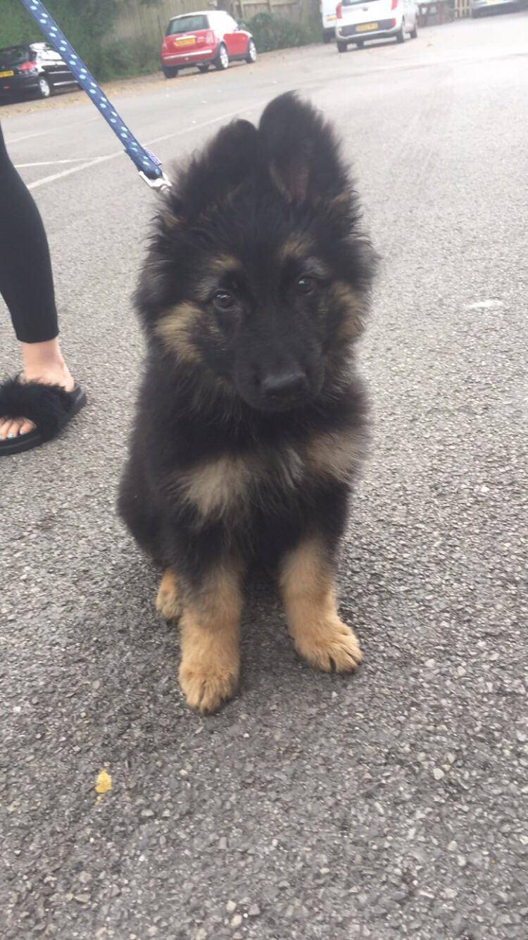 His first time outside. | Scrolller