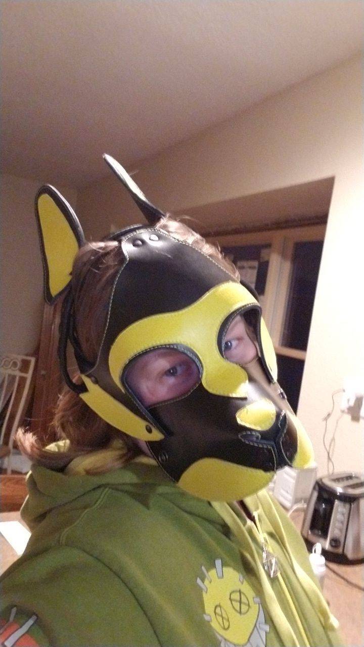 Hiya! My name is Lucy and I'm new into the pup play and reddit scene! I'm here to make some new ...