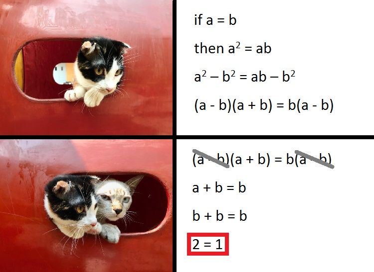 Hold up a second | Scrolller